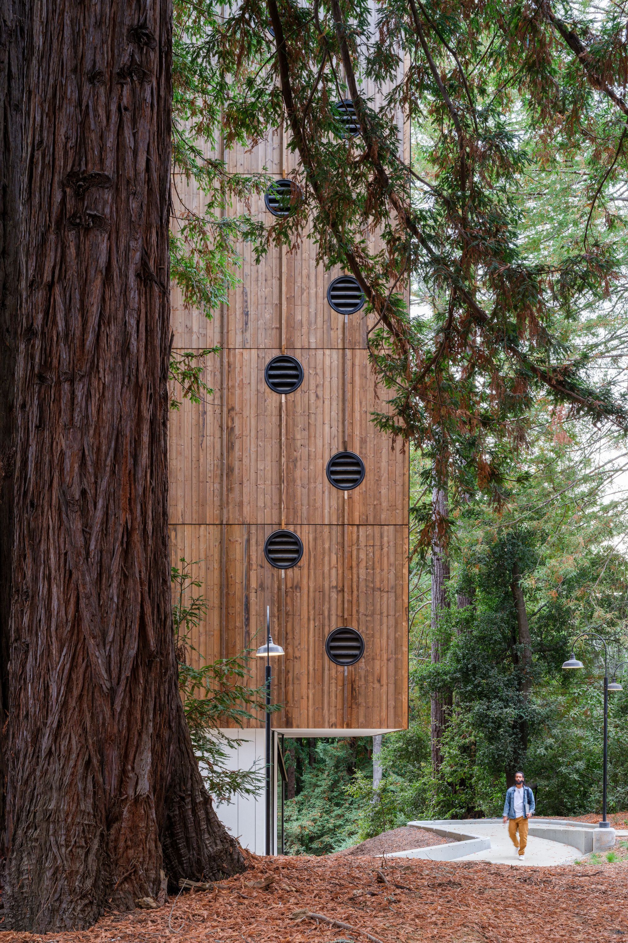 Gallery of Kresge College Expansion / Studio Gang - 8