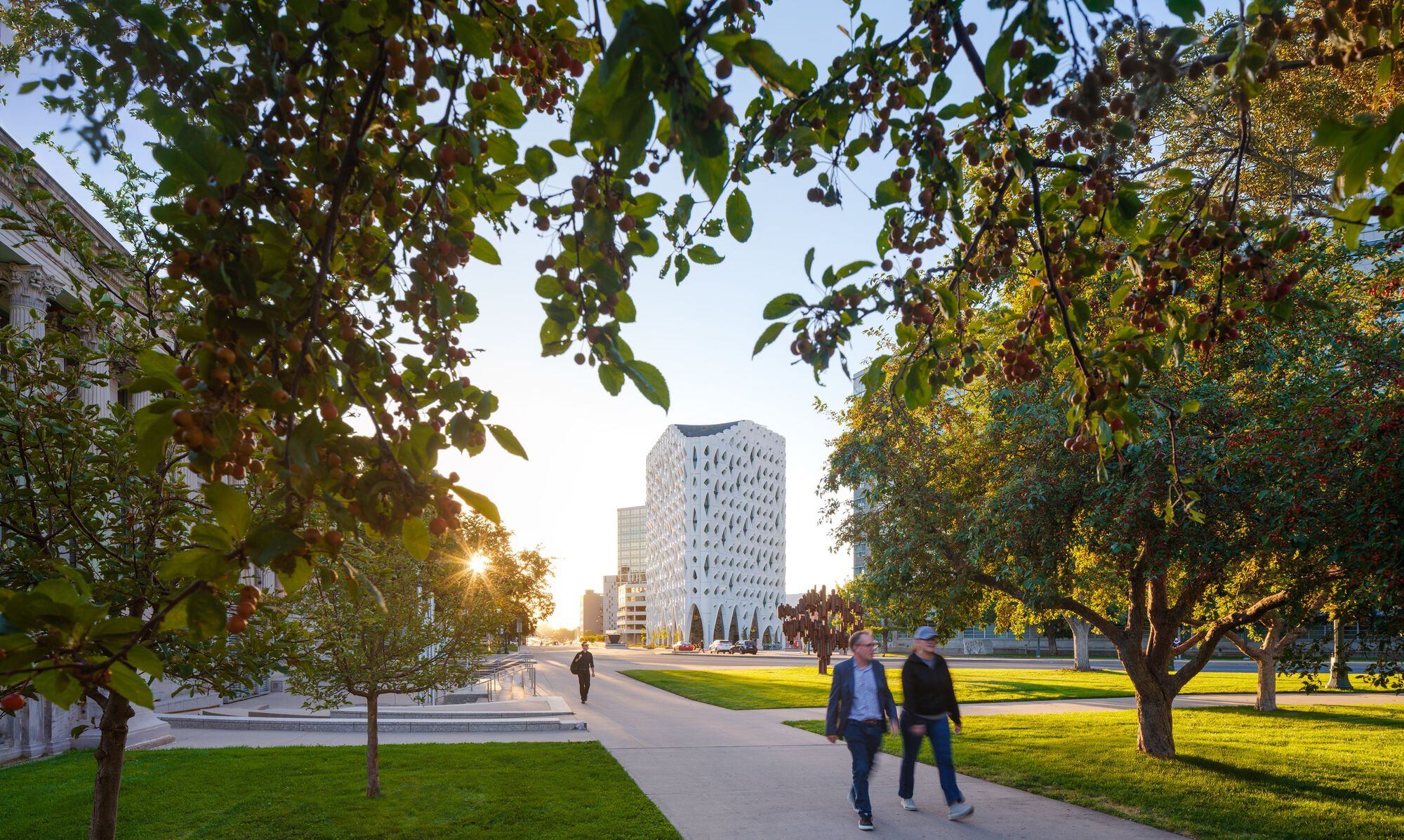 画廊 Populus / Studio Gang - 6