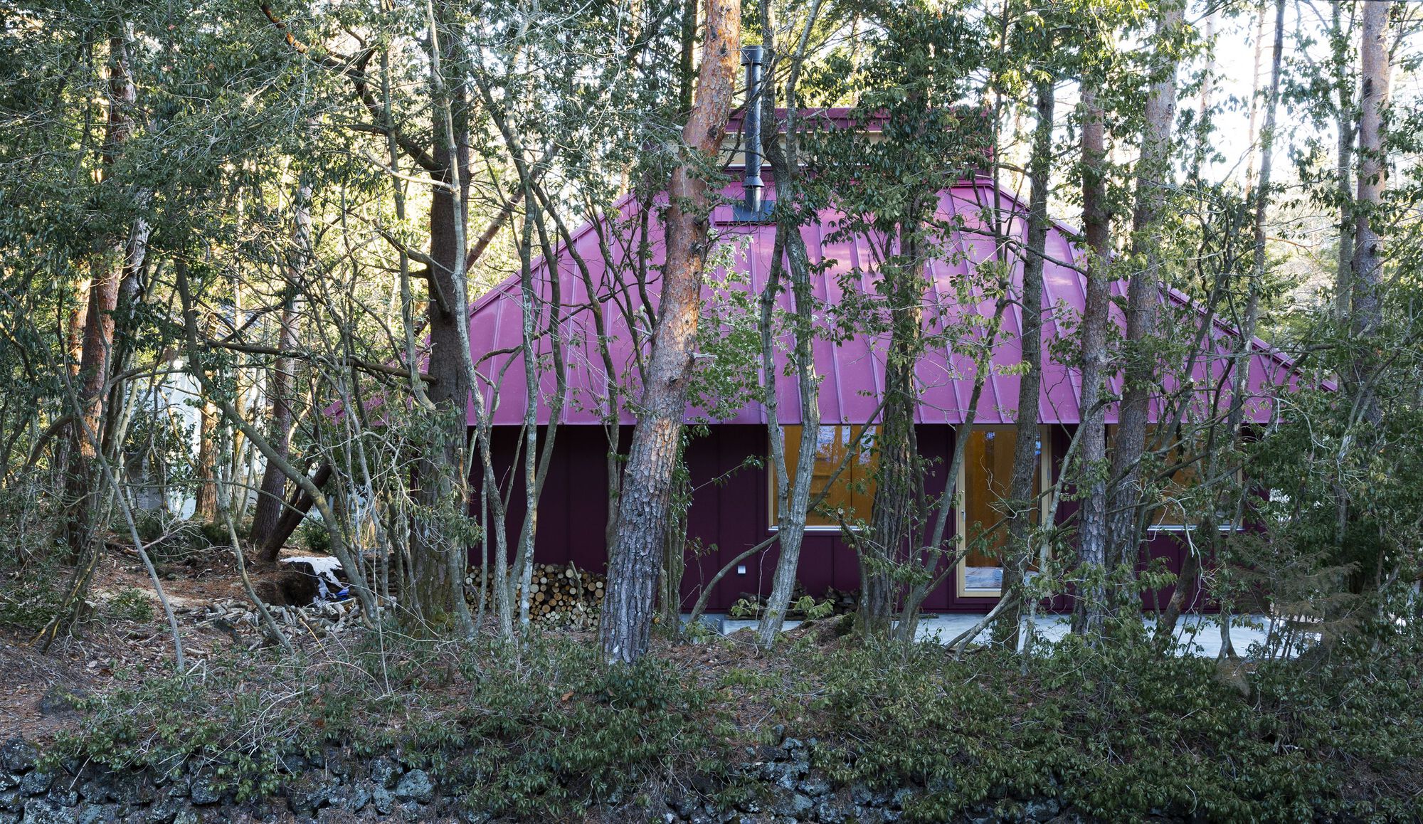 Gallery of House in the Forest / Office Ten Architecture - 7