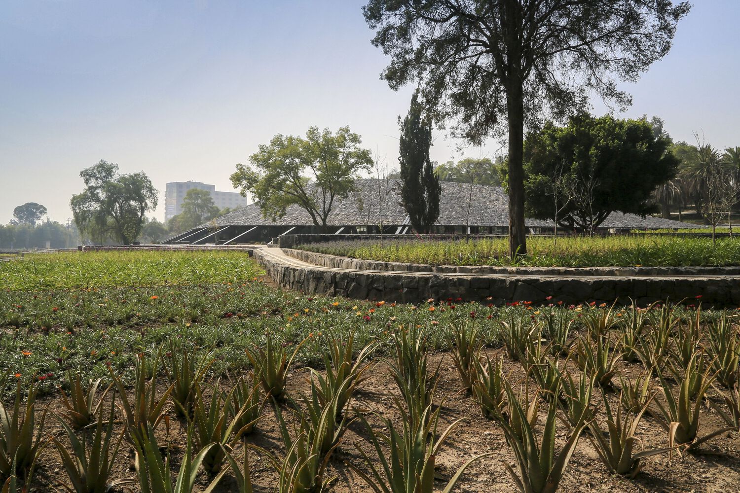 Gallery of Rhythms of the Soil: Architecture as Agroecology - 29