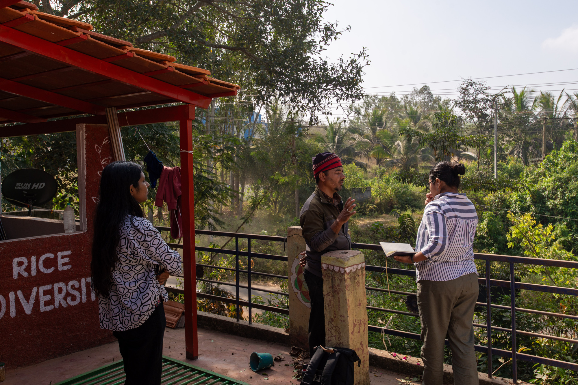 Gallery of Rice Museum: Architecture Rooted in Rural Memory and Ecology - 2