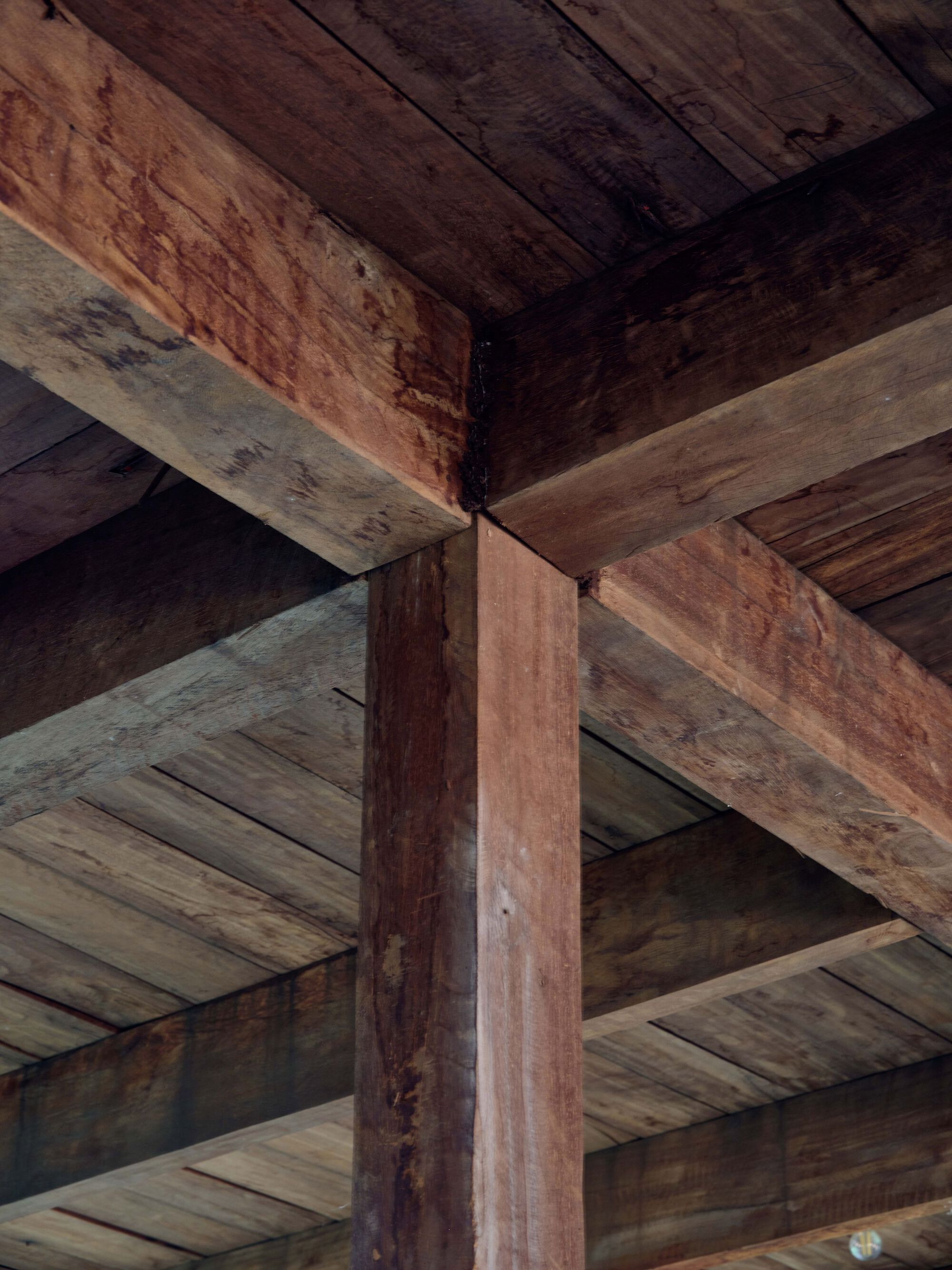 Galeria de Jardim de Infância African Flow / Urbanitree - 40