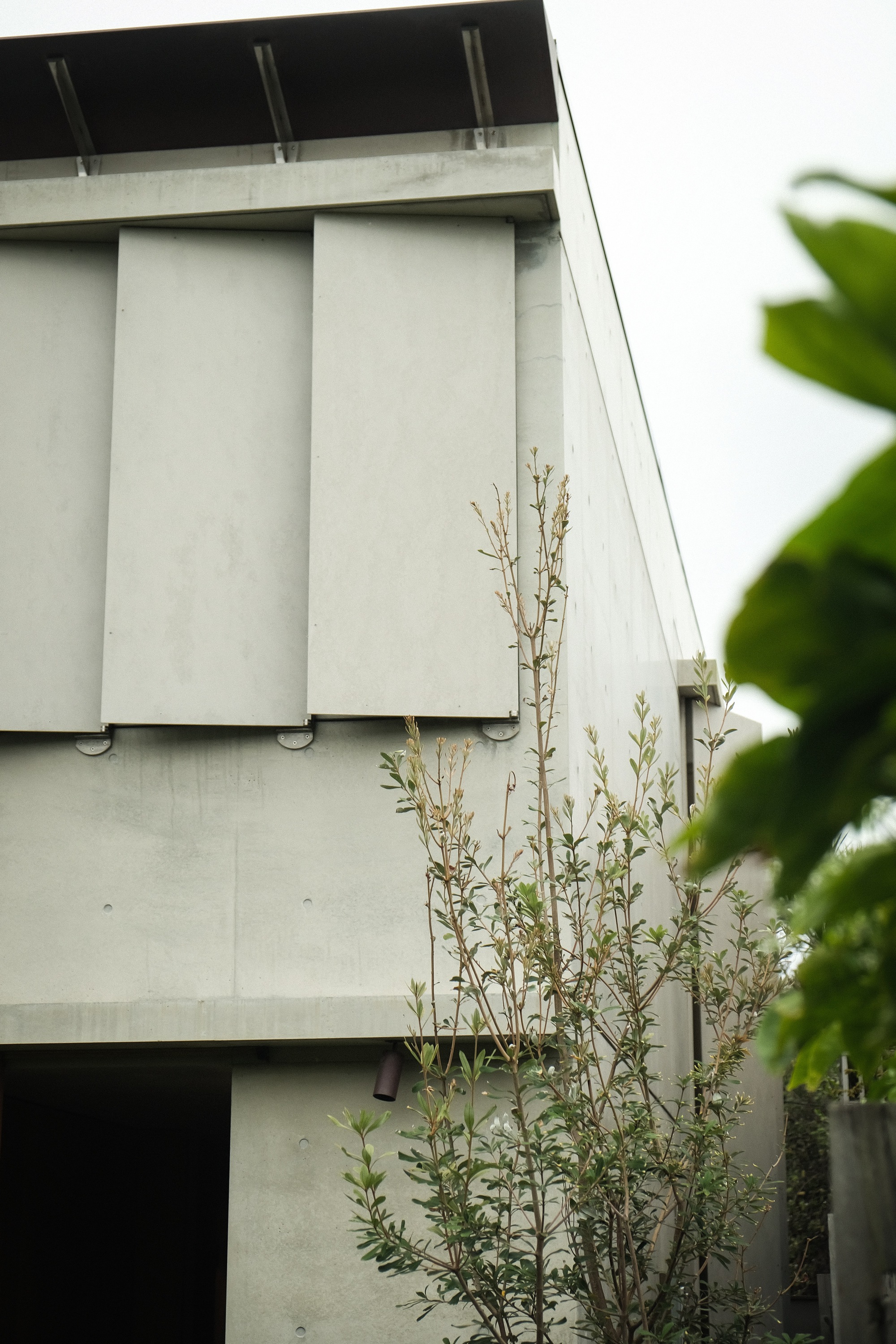 Gallery of Lagoon House / Peter Stutchbury Architecture - 18