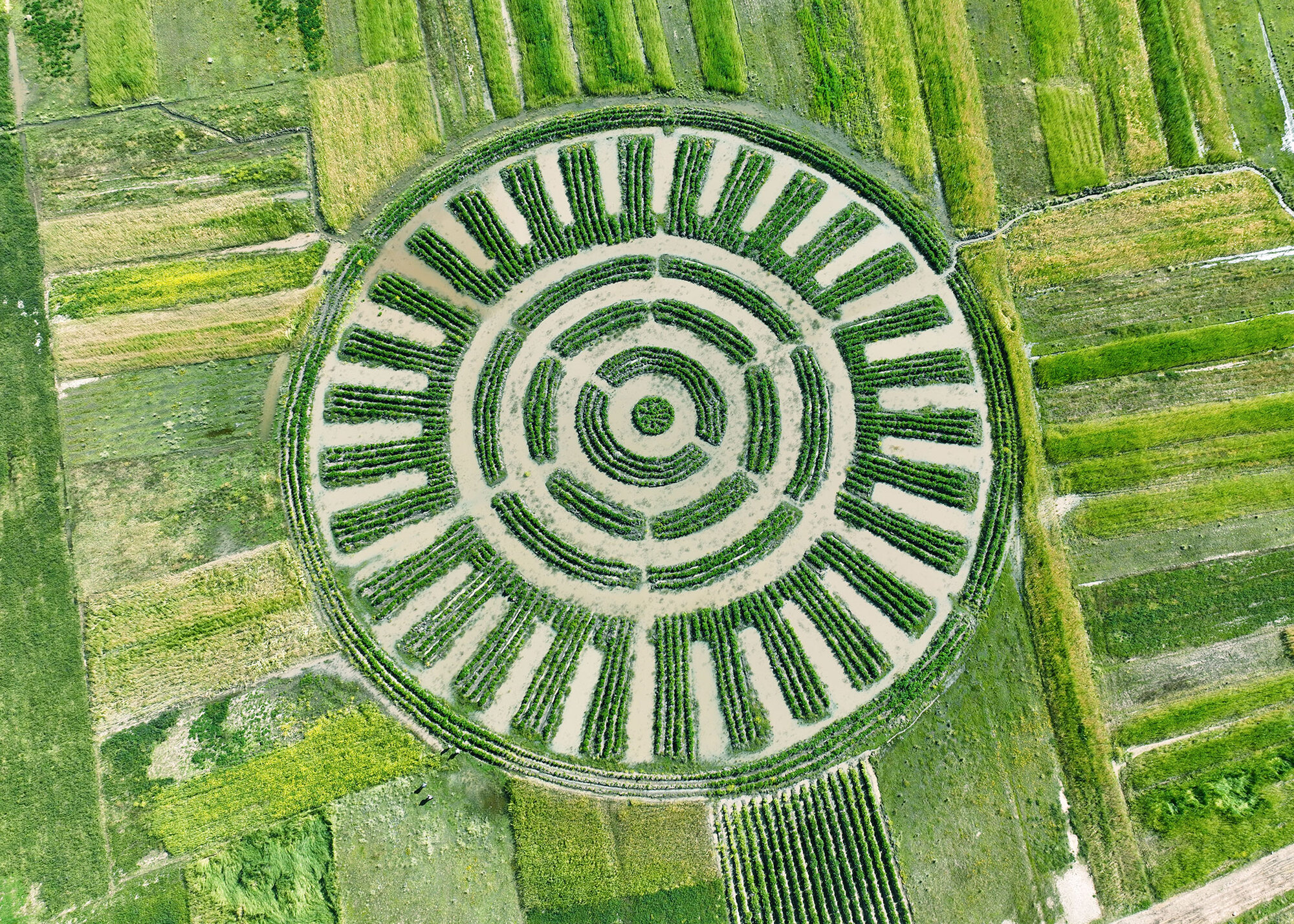 Gallery of An Ancestral Legacy with Modern Concerns: The Story Behind ...