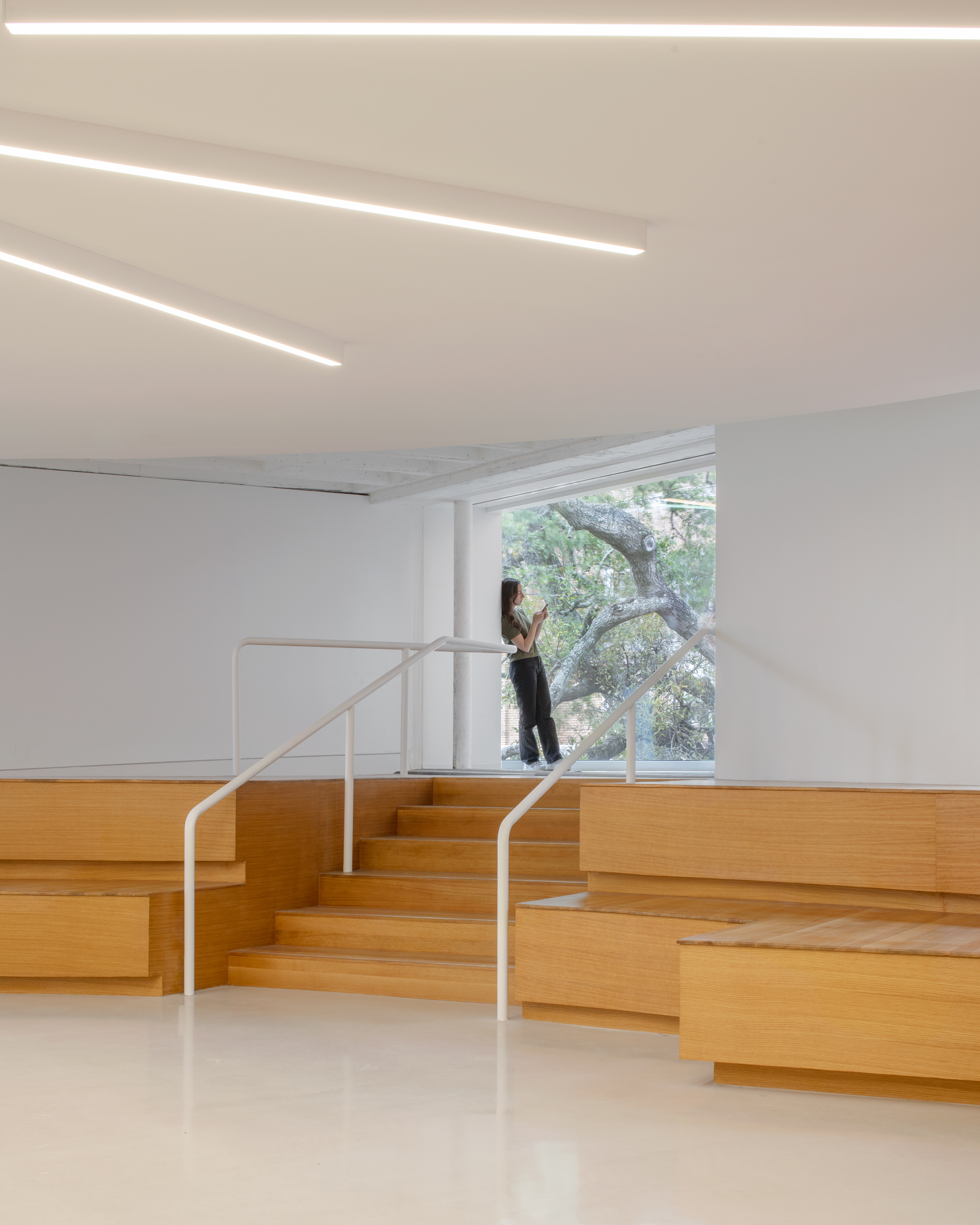Galeria de Renovação do MD Anderson Hall - Rice University School of ...