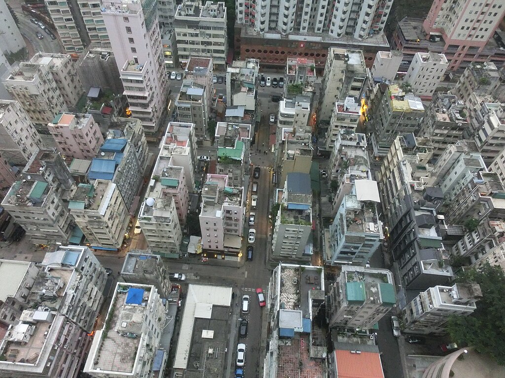 Gallery of Village in the Vertical City: Tai Hang and the Afterlife of ...