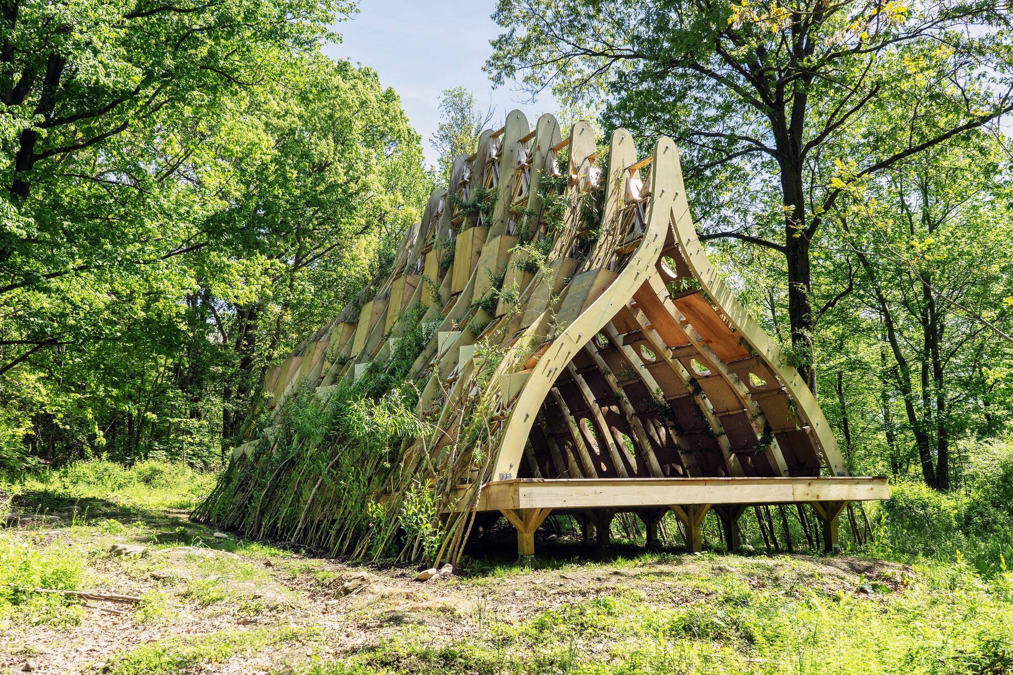 Gallery of Fab Tree Hab / Terreform ONE - 12