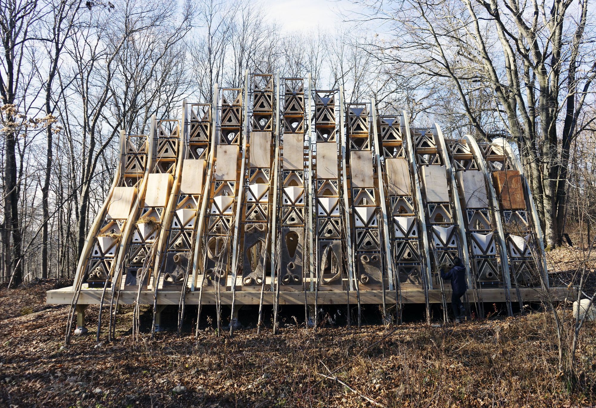 Gallery of Fab Tree Hab / Terreform ONE - 8