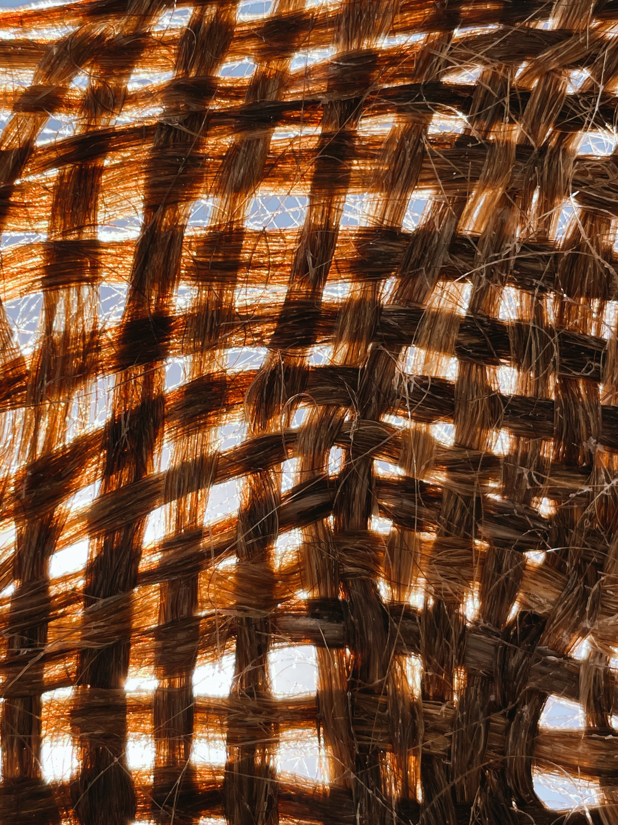 Gallery of Can We Build with Food? Circular Experiments at the Matter ...