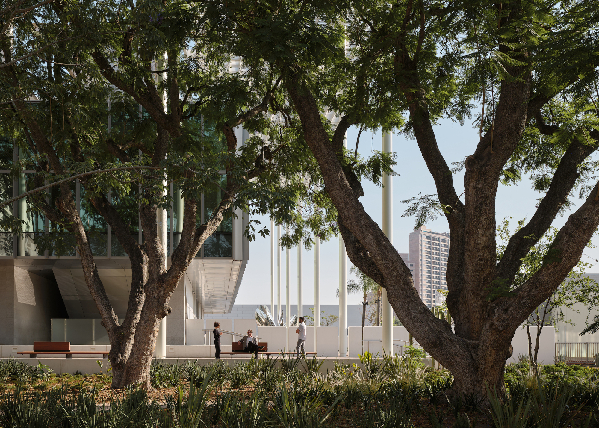 Gallery of New U.S. Consulate General Guadalajara / Miller Hull ...