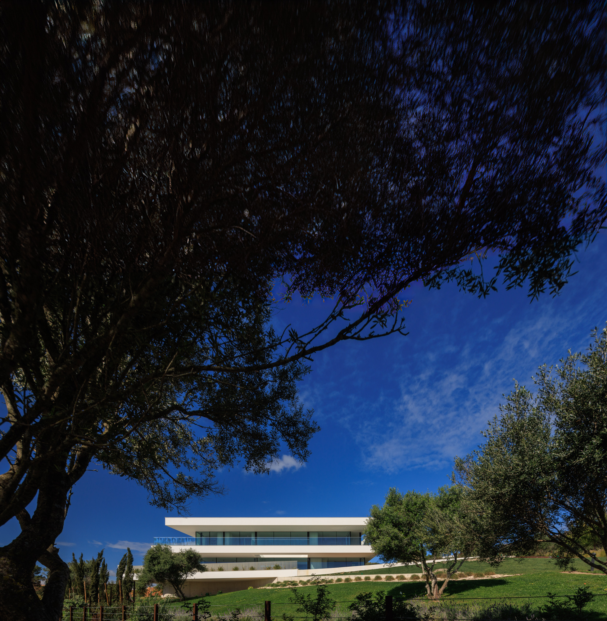 Gallery of Ria House / Mário Martins Atelier - 6