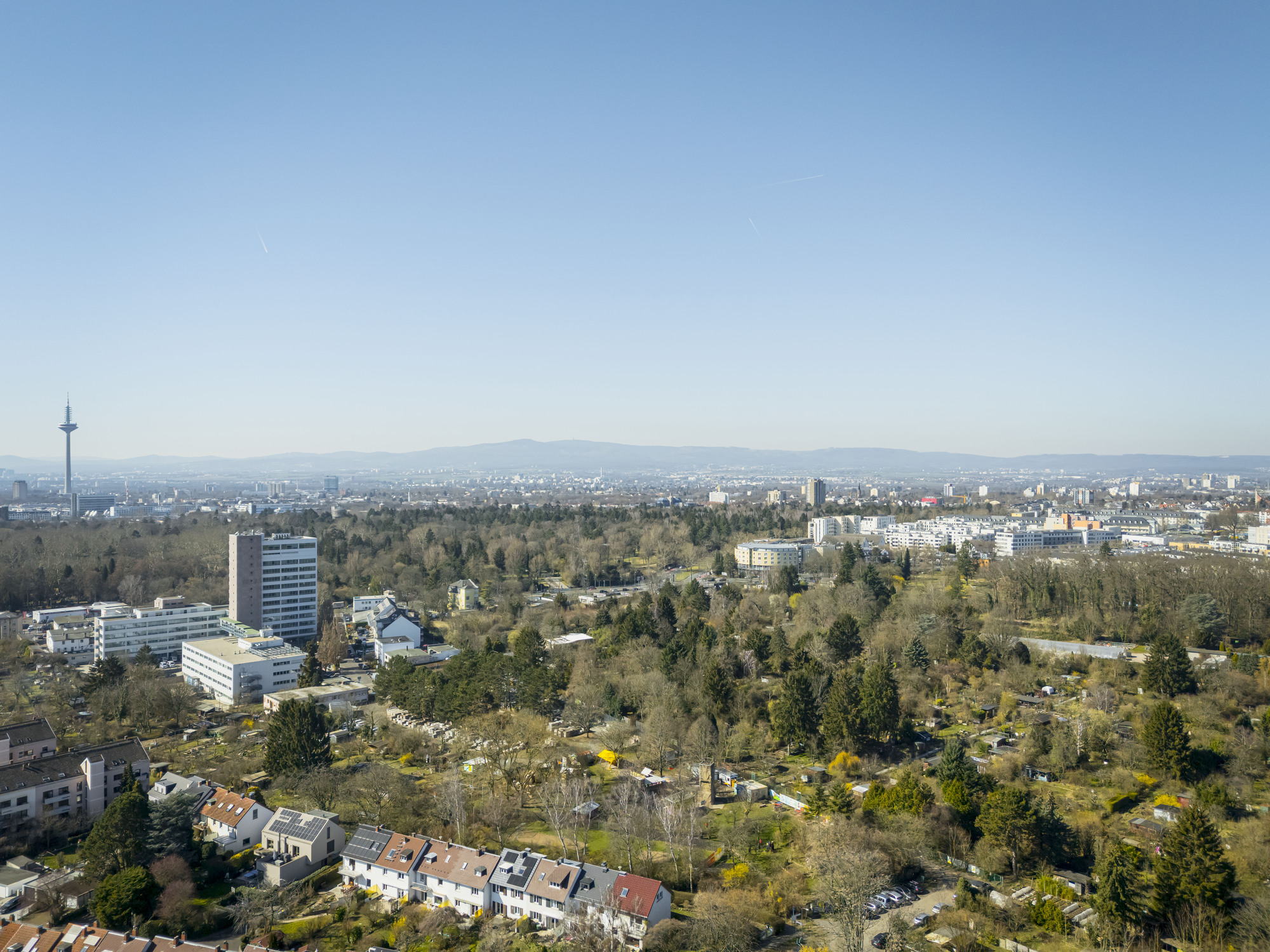 Gallery of DAM Explores the Challenge of New Urban Neighborhoods in ...