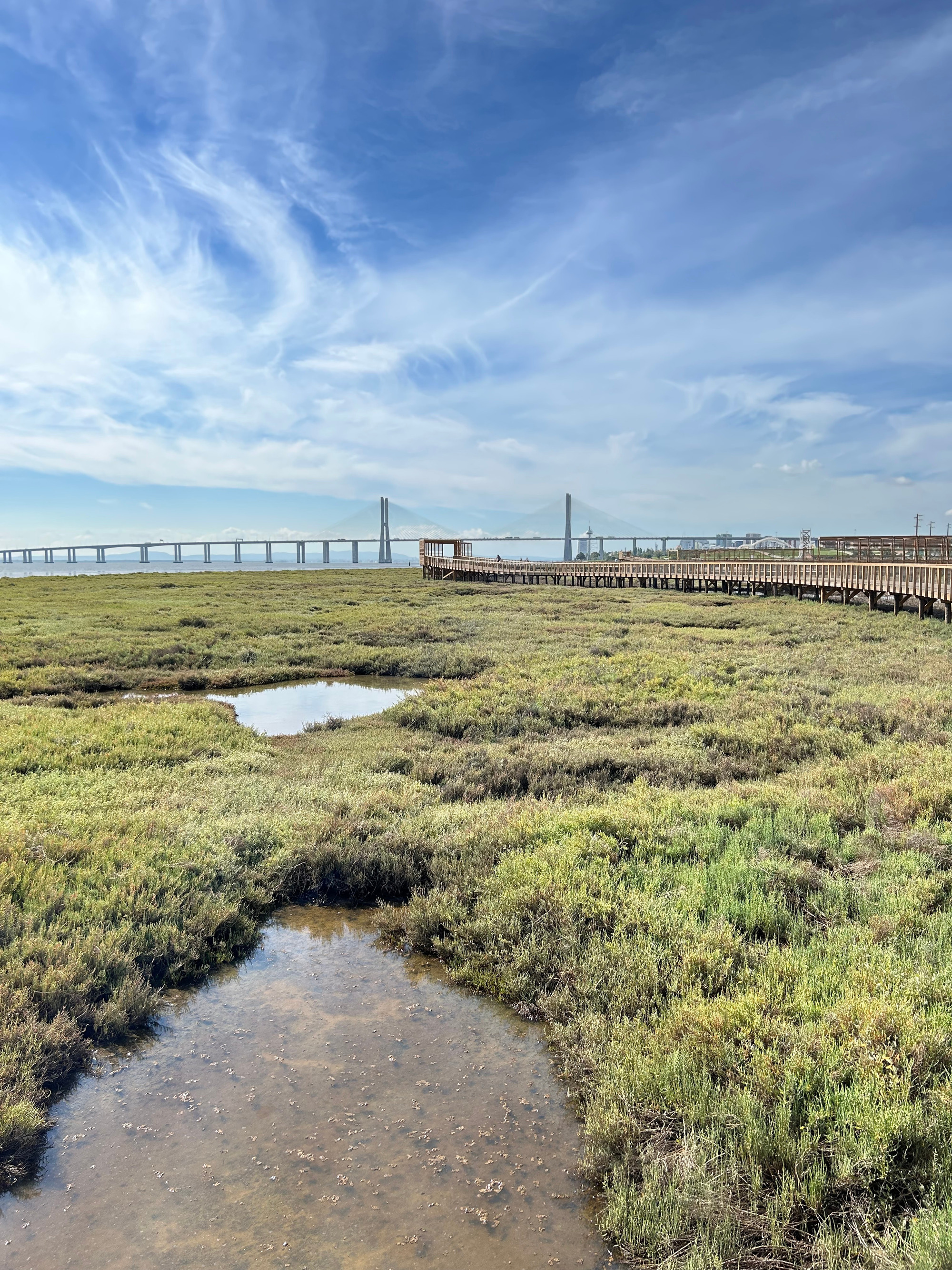 Gallery of Loures Riverfront / Topiaris Landscape Architecture - 13