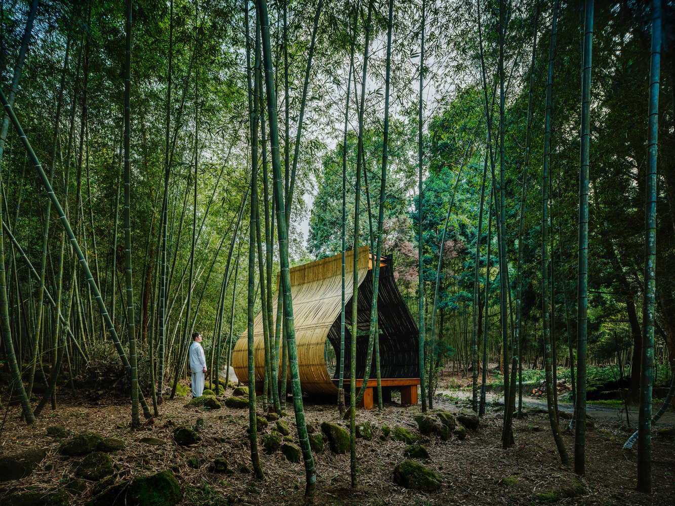 Gallery of Bamboo Cabin Plan : Sticky Rice Dumpling / Cheng Tsung FENG ...