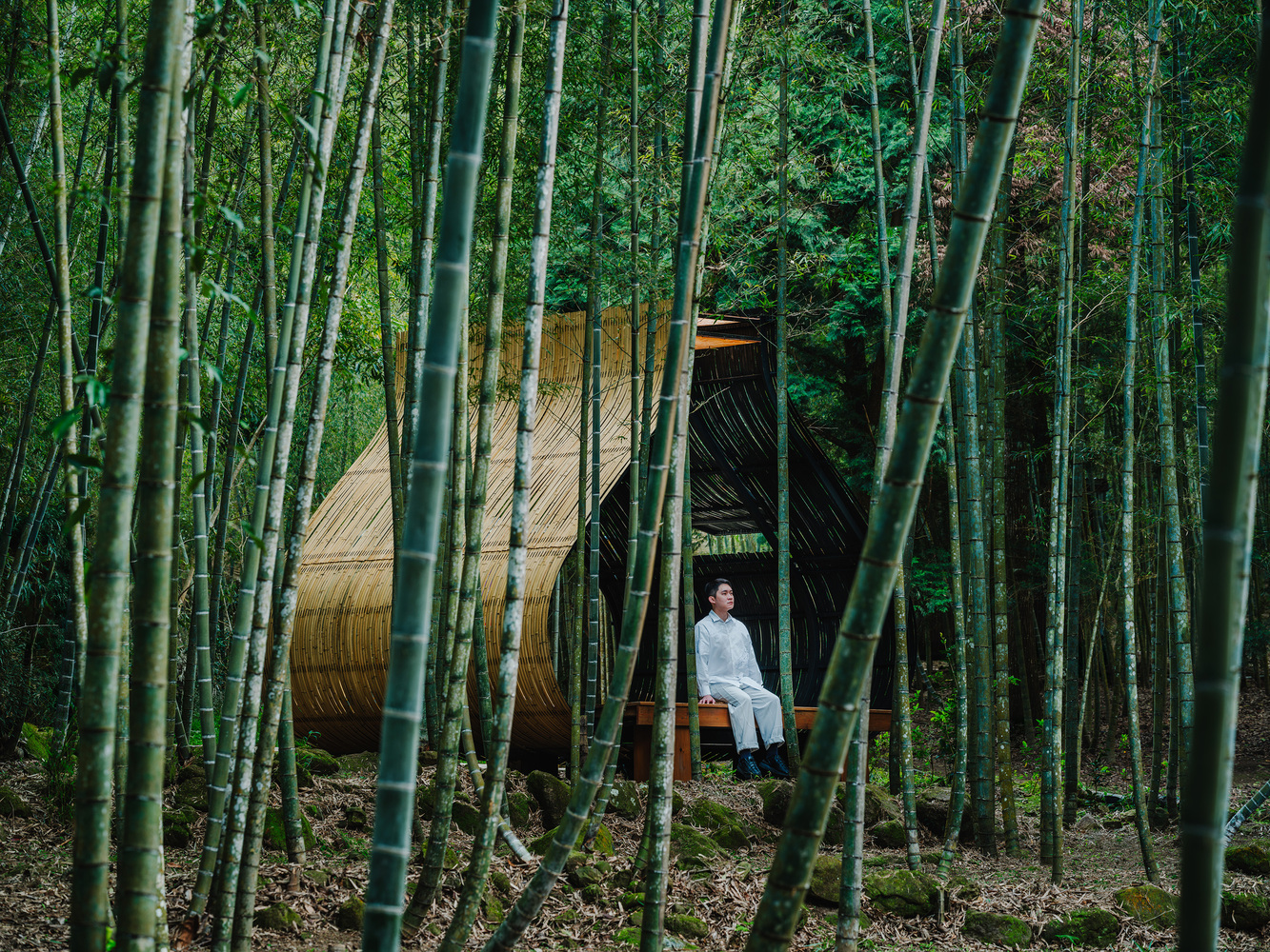 Gallery of Bamboo Cabin Plan : Sticky Rice Dumpling / Cheng Tsung FENG ...