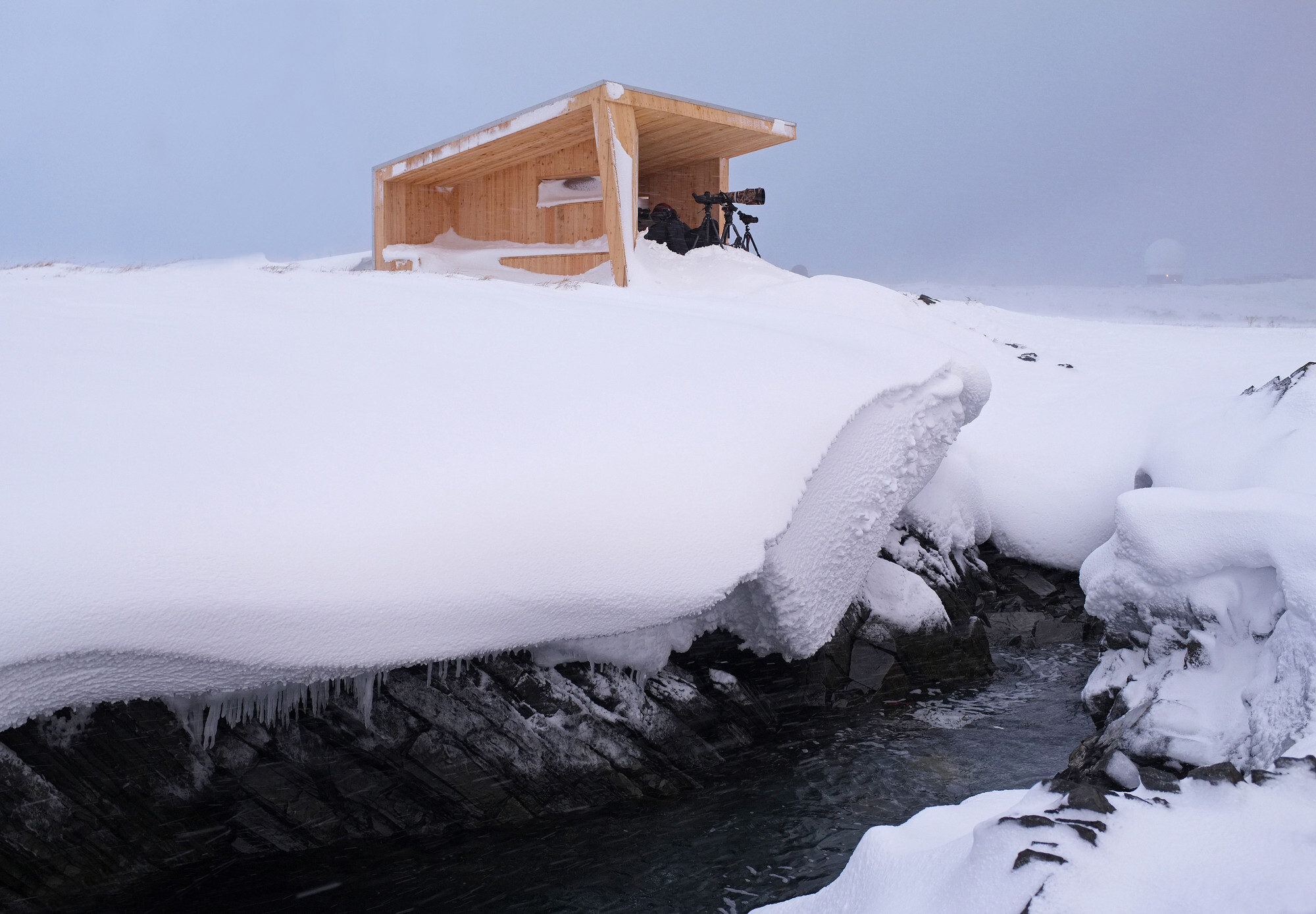 Gallery of Of a Feather: The Hidden Architecture of Bird Watching - 11