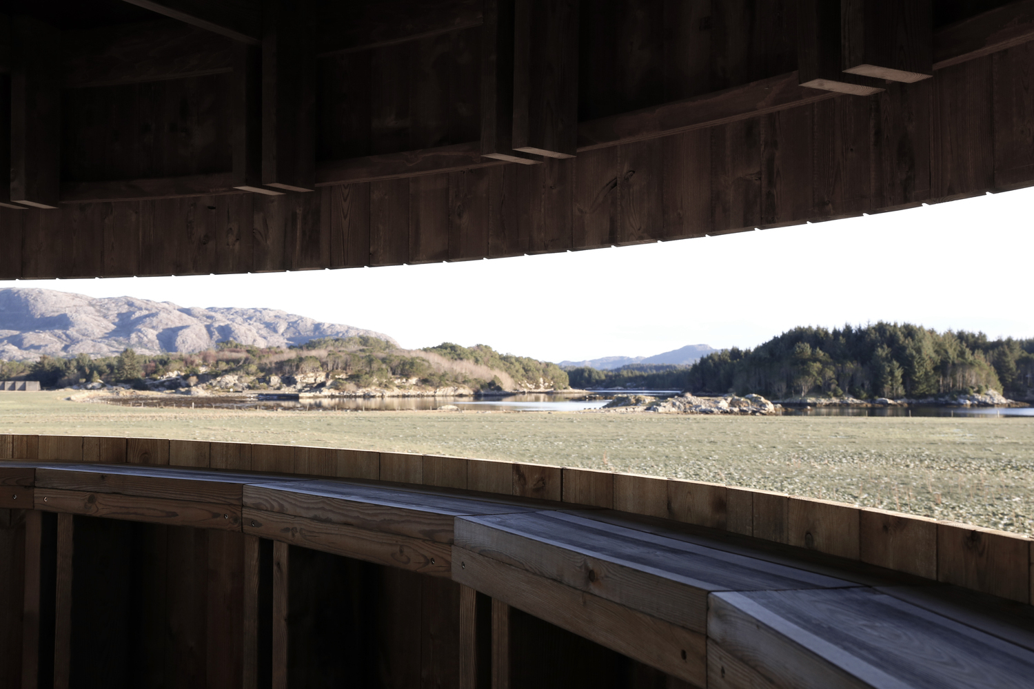 Gallery of Of a Feather: The Hidden Architecture of Bird Watching - 6