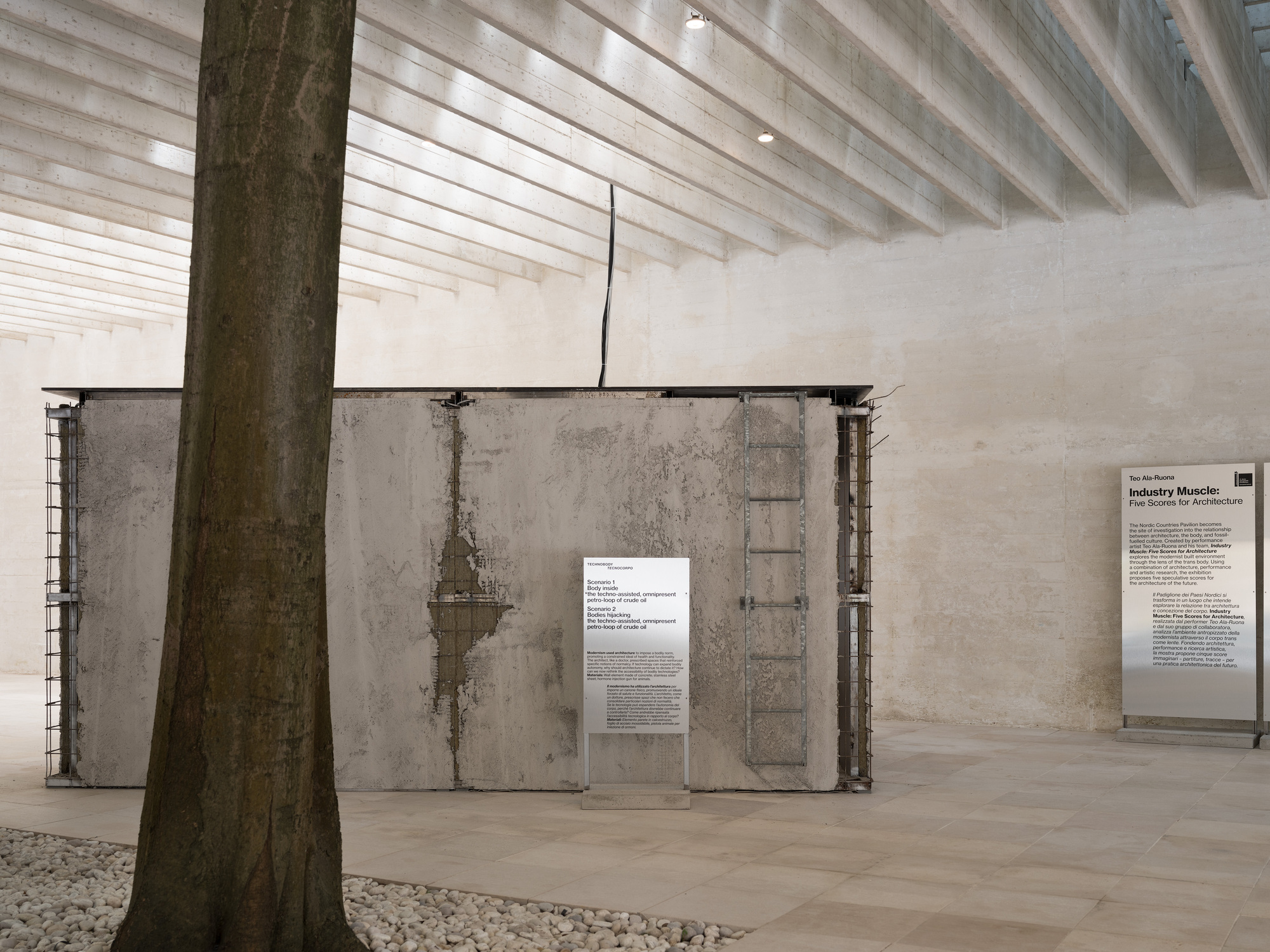 Gallery of The Nordic Pavilion at the 2025 Venice Biennale Explores ...