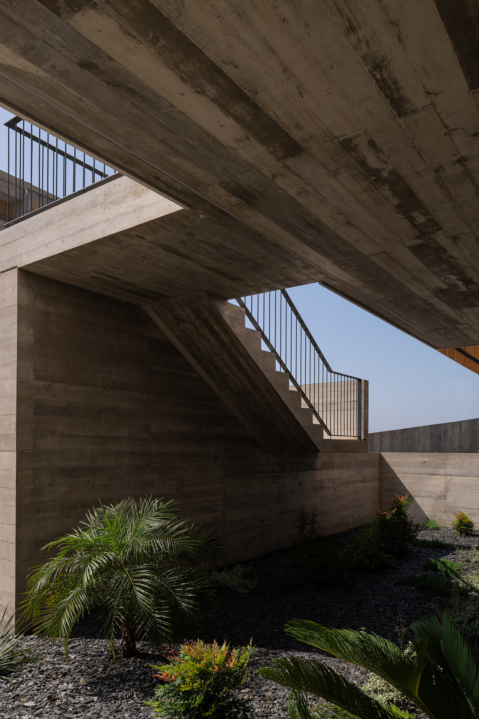 Gallery of House NM / CFDS Architecture - 8