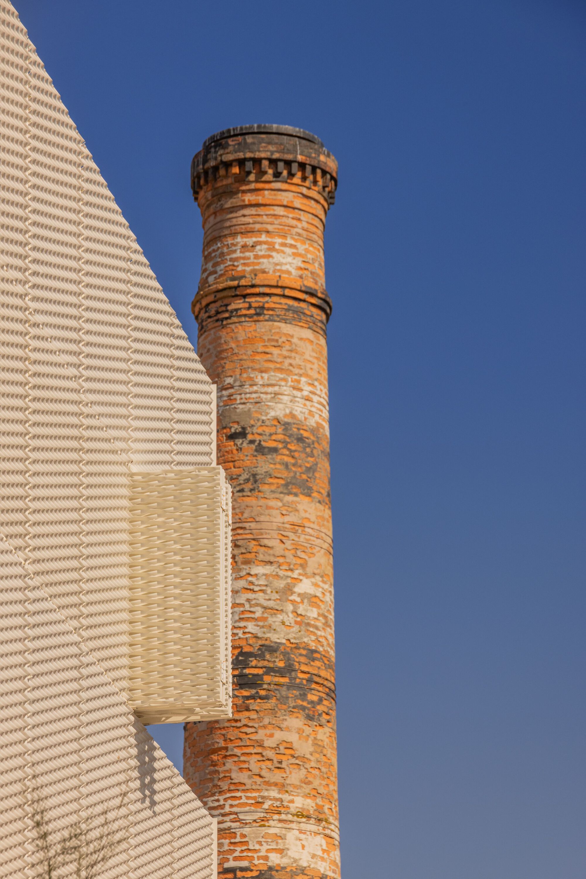 Gallery of Canning Factory / OODA - 34