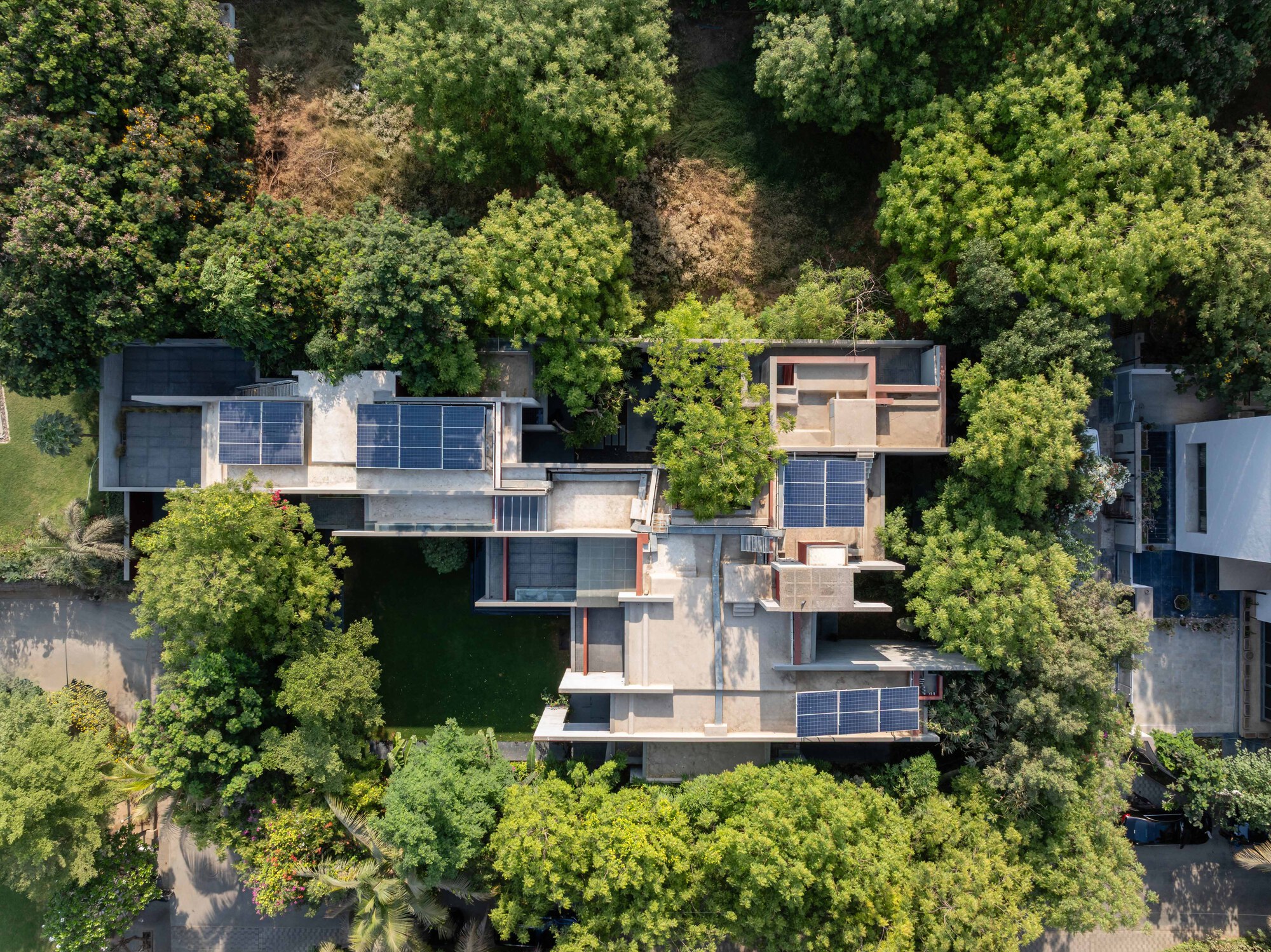 Gallery of Trees Sliced Through Residence / Matharoo Associates - 16