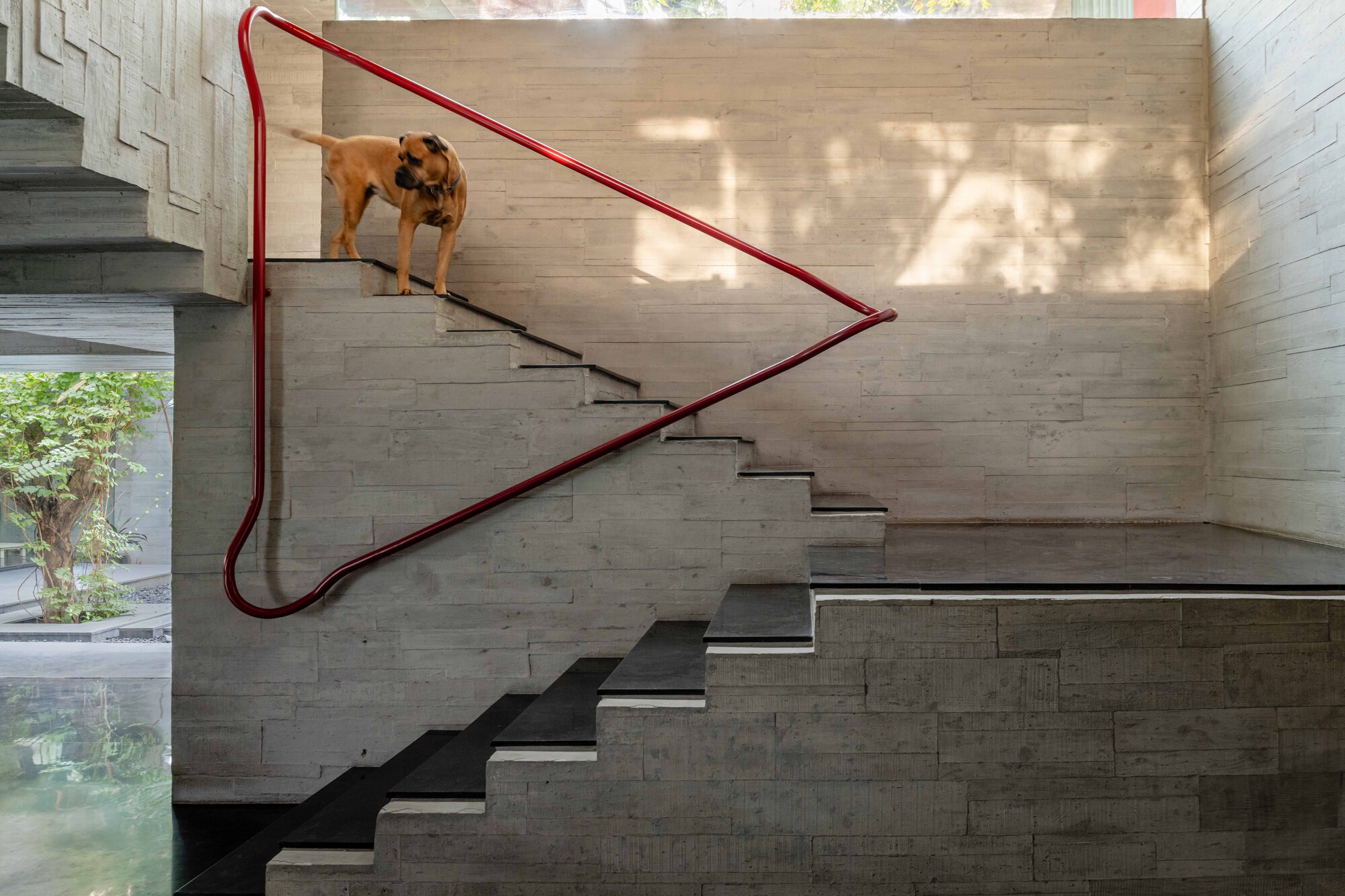 Gallery of Trees Sliced Through Residence / Matharoo Associates - 11