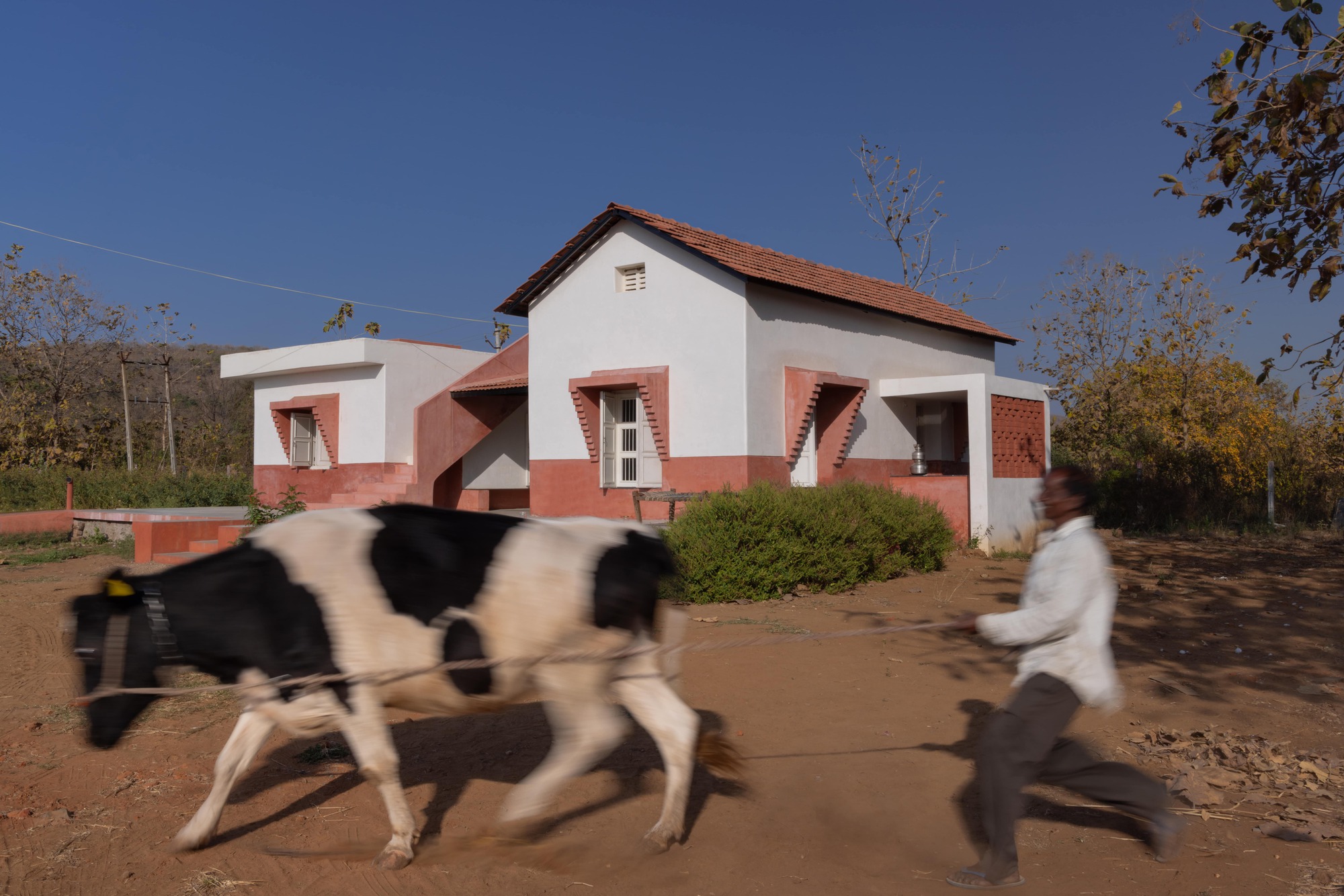 Galeria de Casa da Nostalgia / PROJECT TERRA - 5