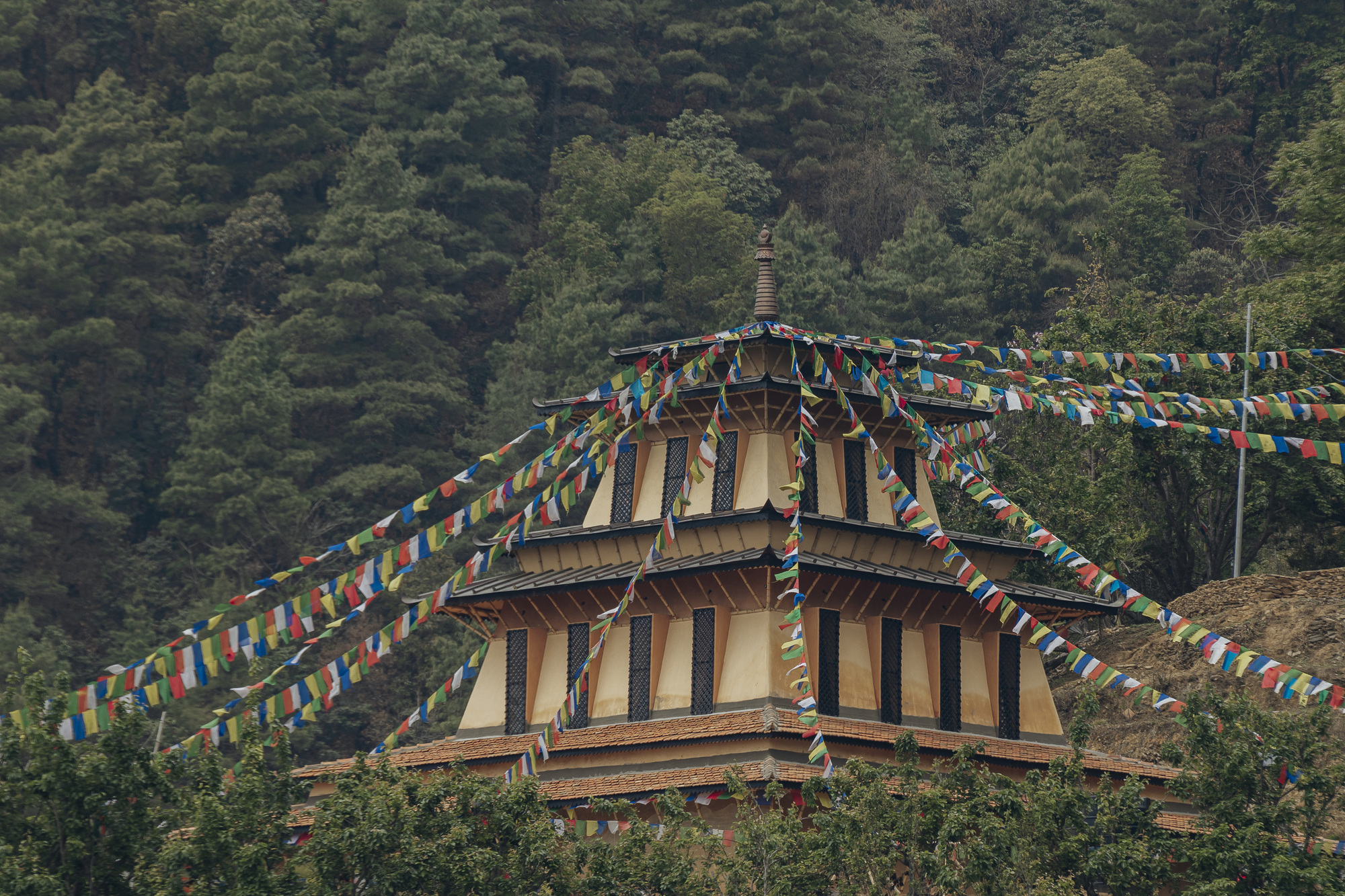 Gallery of Mahamudra Hall / ABARI - 5