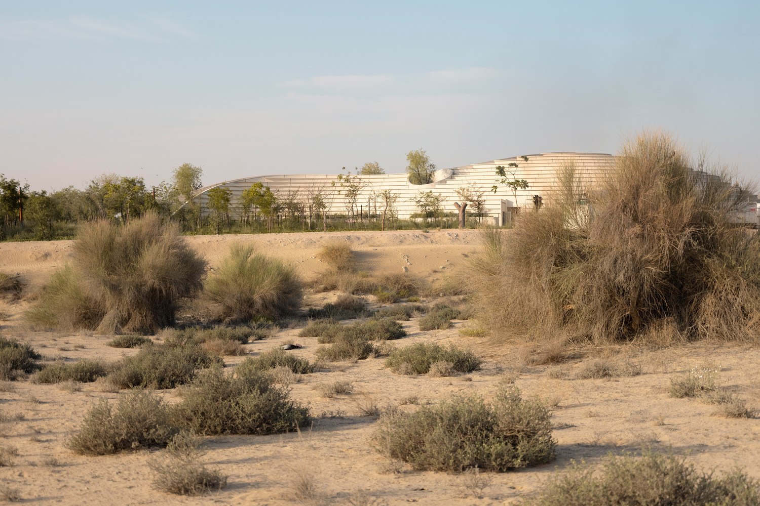 Gallery of Ghaf Woods Experience Center / AOE + STUDIOI - 21