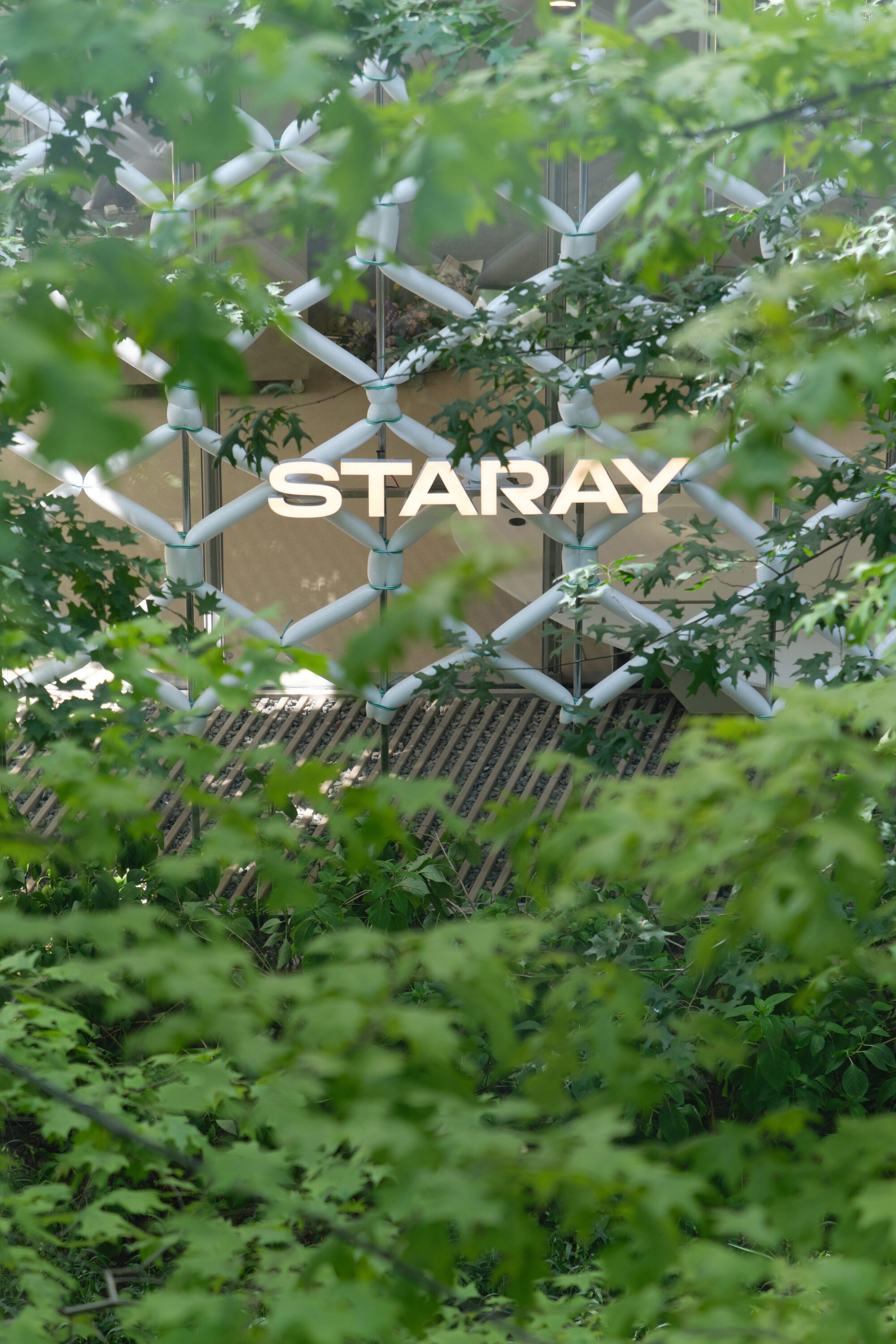 Gallery of STARAY Store / Fununit Design&More - 26