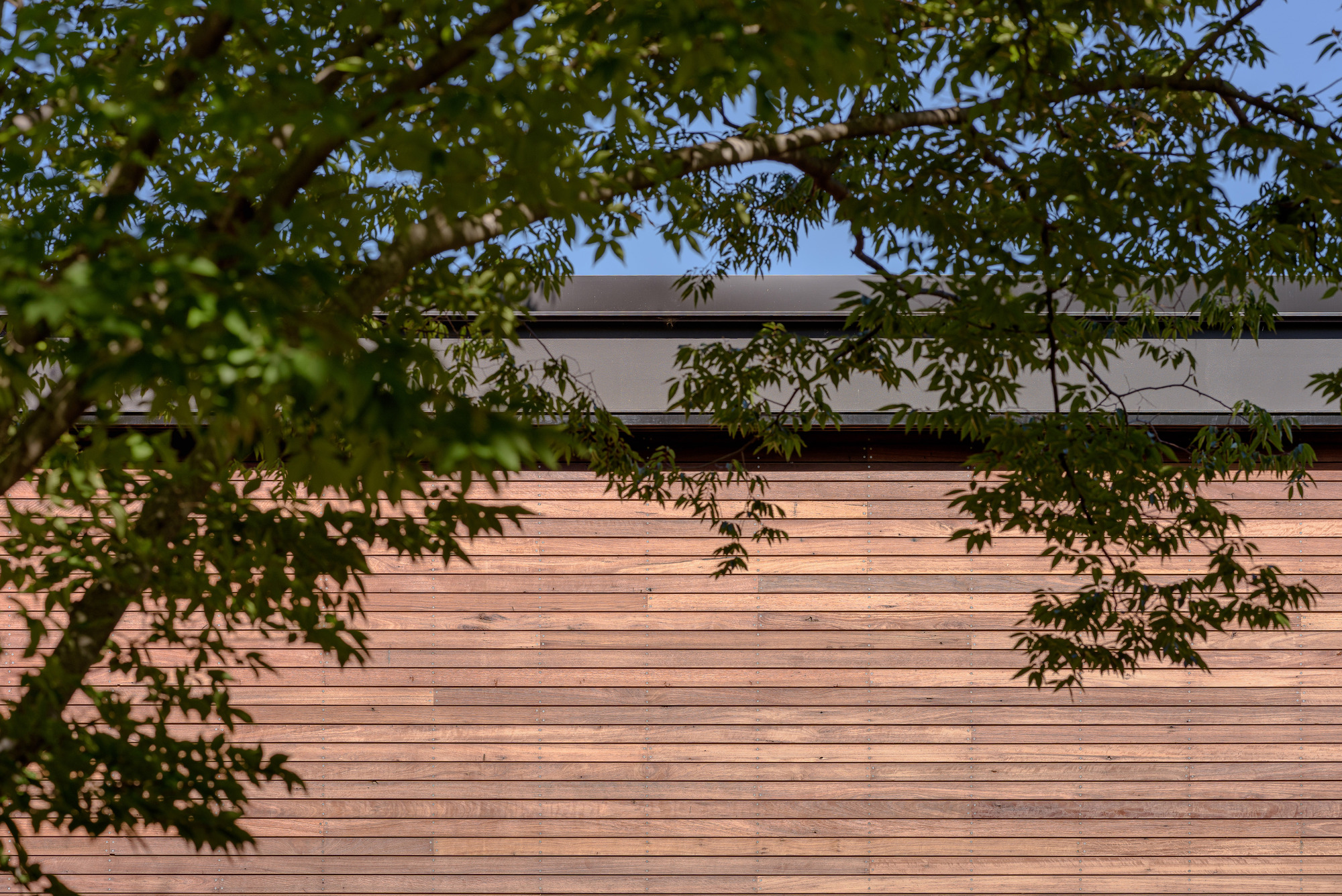 Gallery of Batten House / Ben Walker Architects - 26
