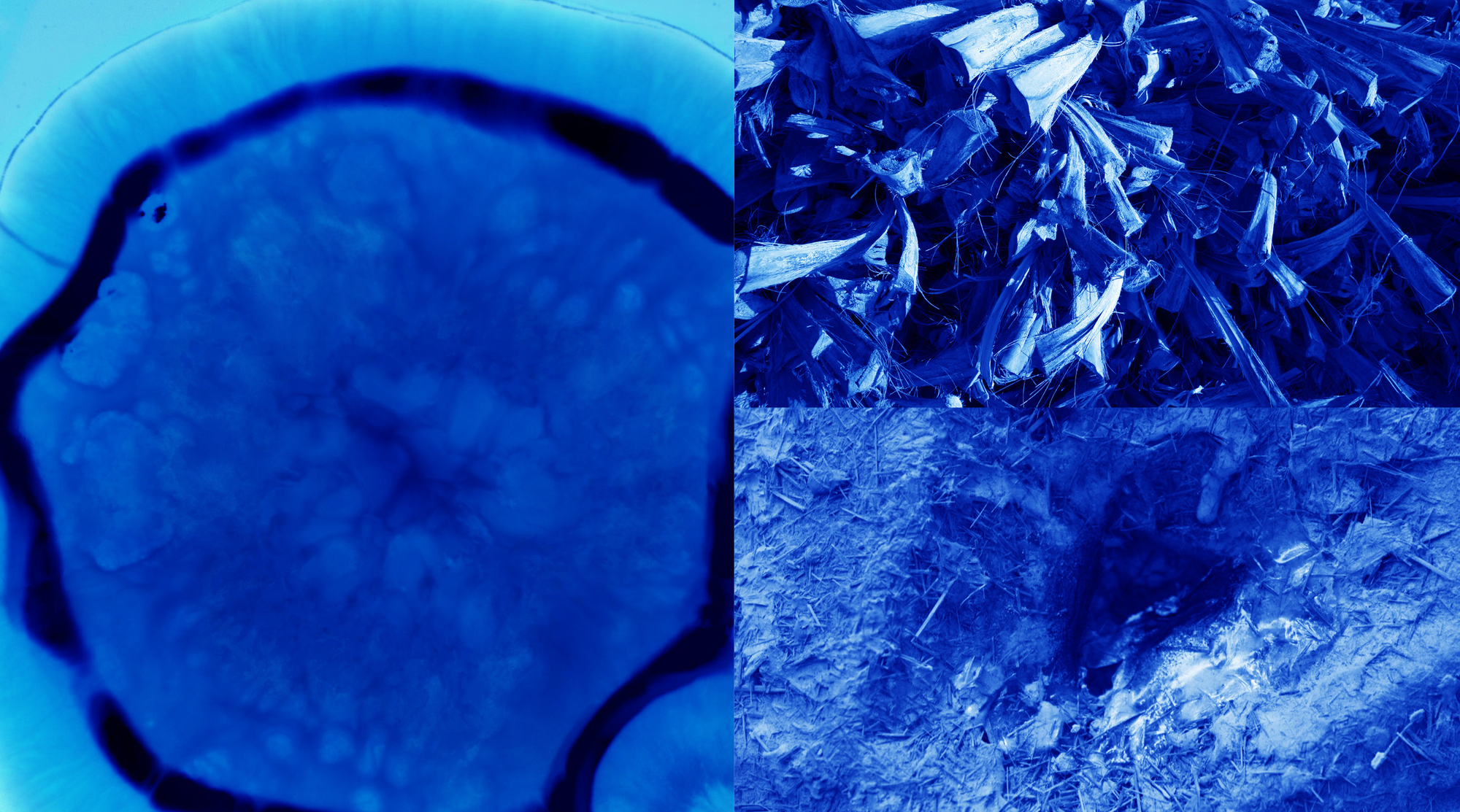 Gallery of The Architect as Mediator of Materials: Lessons from Hybrid ...