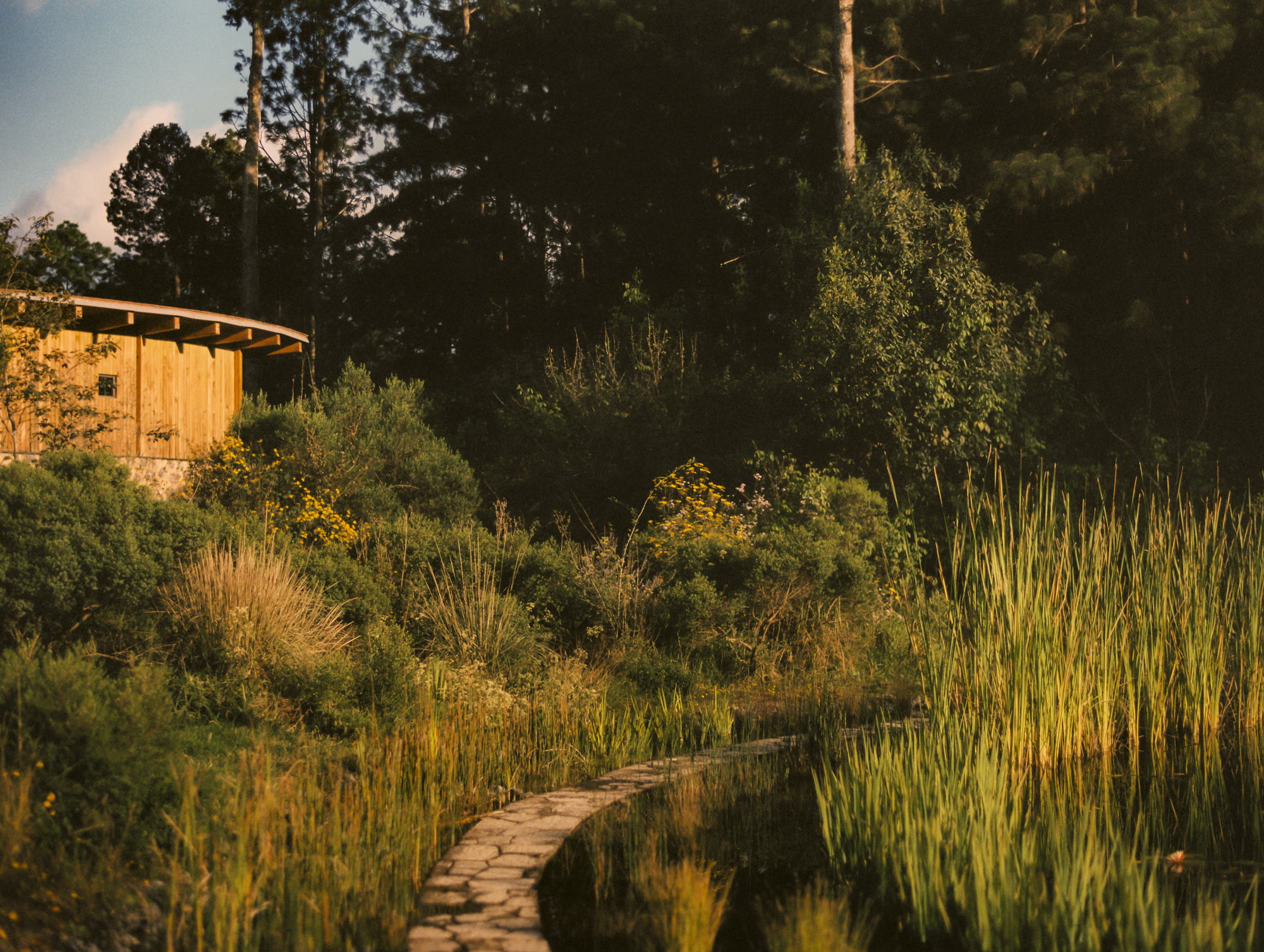 Gallery of 20 Practices Shaping the Future of Architecture: Winners of ...