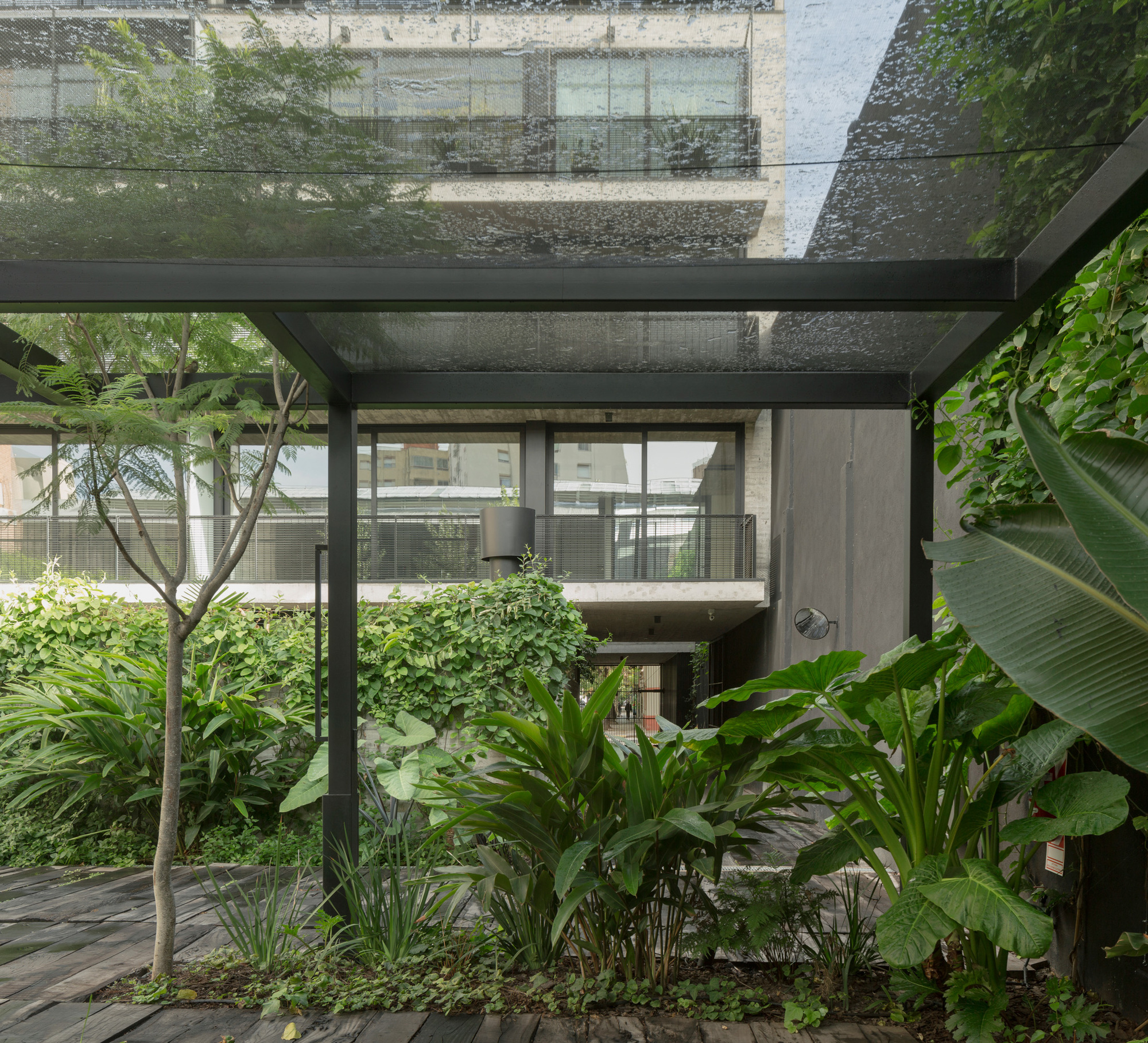 Gallery of Newbery Urban Homes / Dieguez Fridman - 3