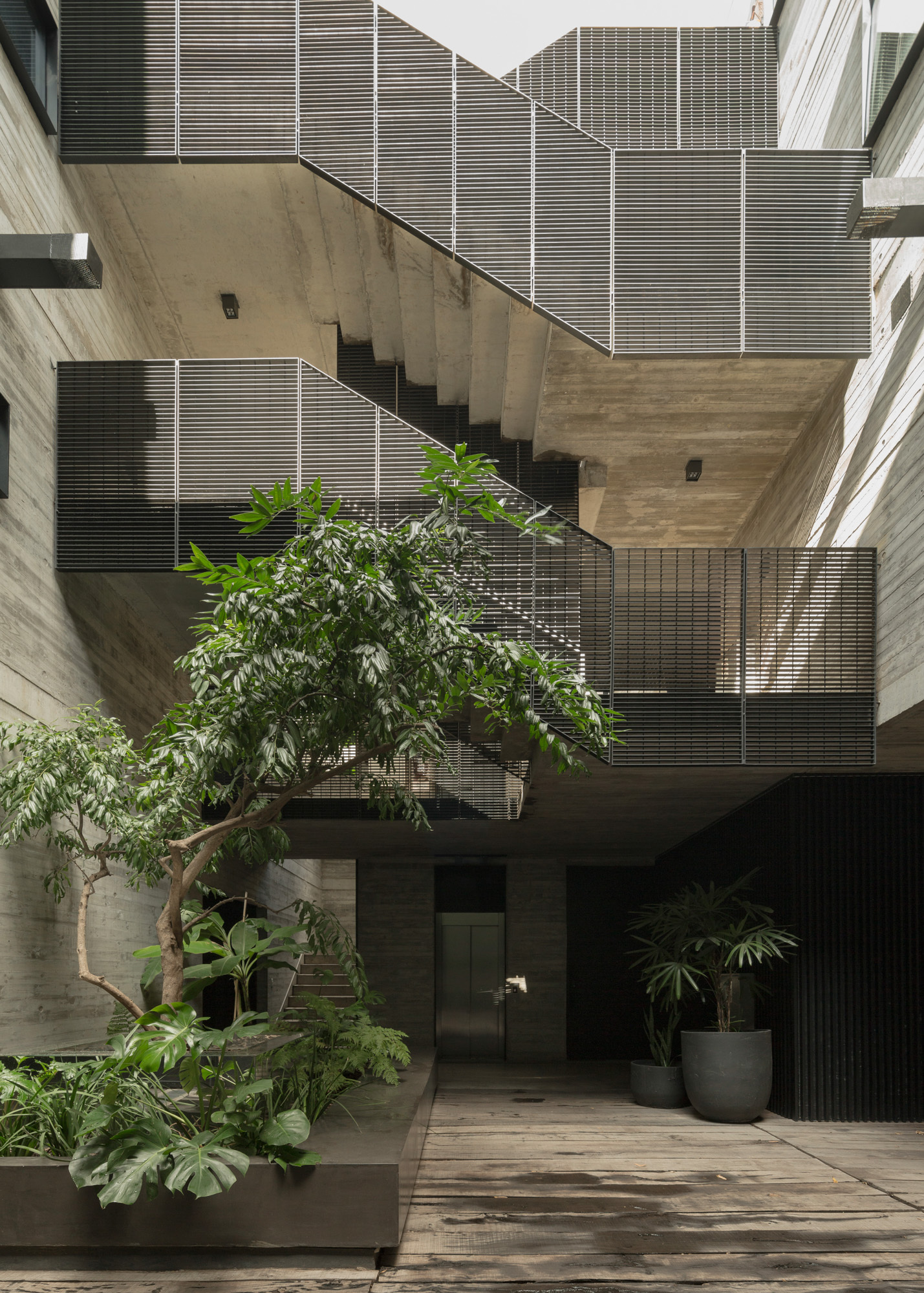 Gallery of Newbery Urban Homes / Dieguez Fridman - 12