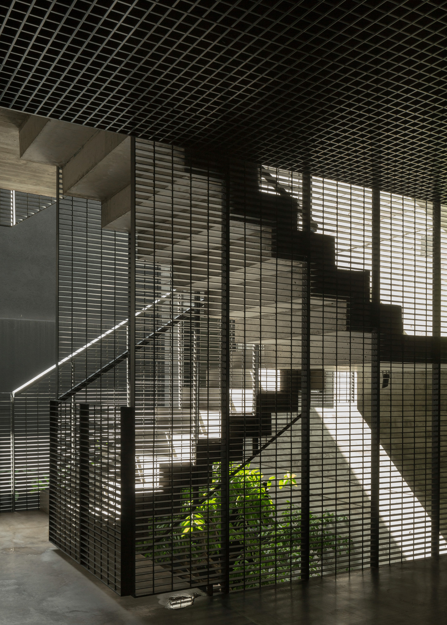 Gallery of Newbery Urban Homes / Dieguez Fridman - 16