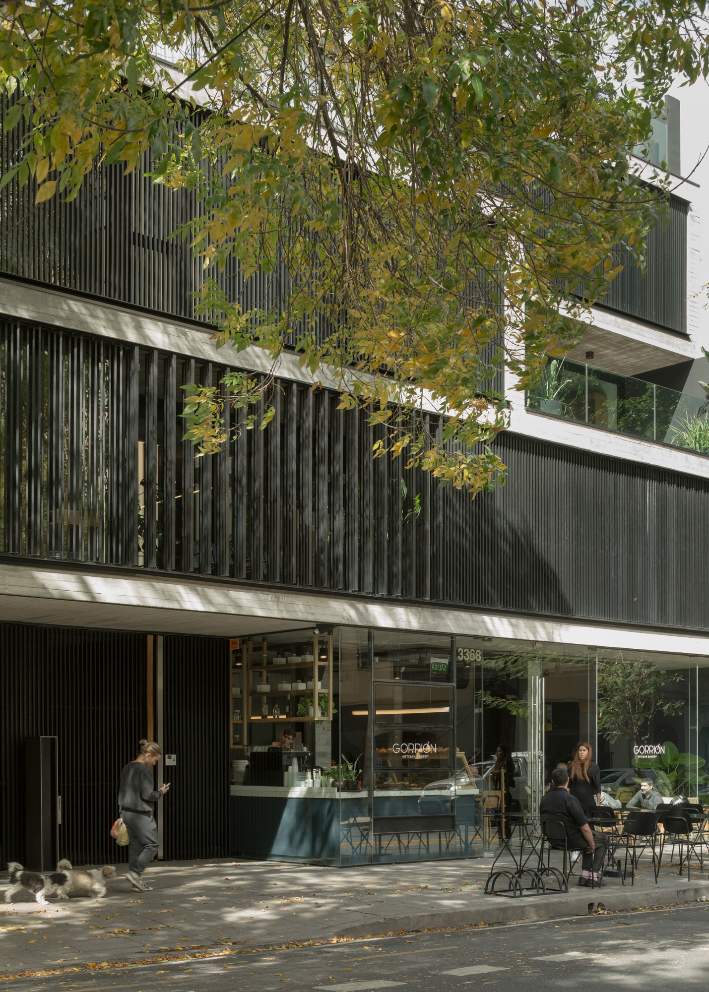 Gallery of Newbery Urban Homes / Dieguez Fridman - 8