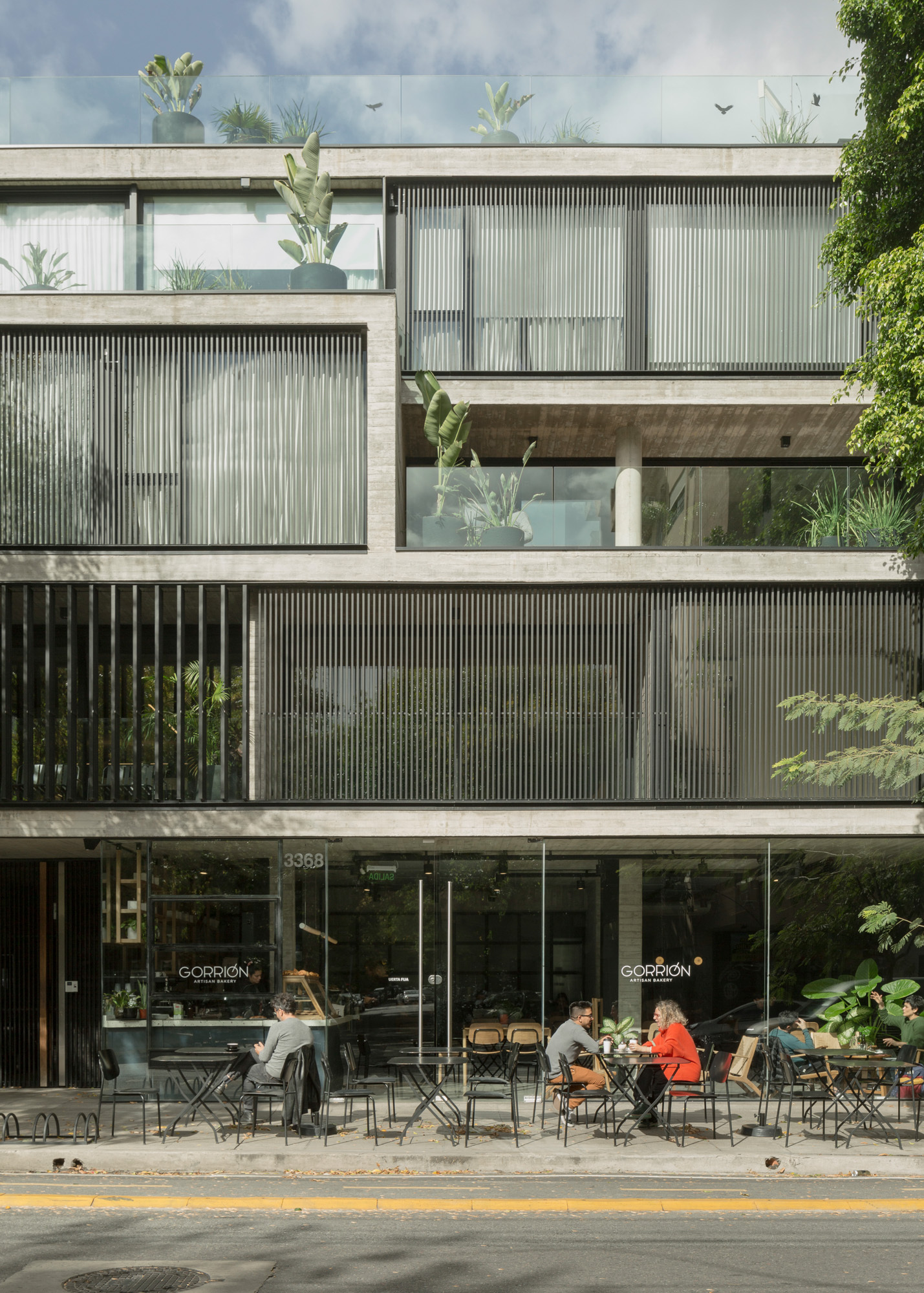 Gallery of Newbery Urban Homes / Dieguez Fridman - 9