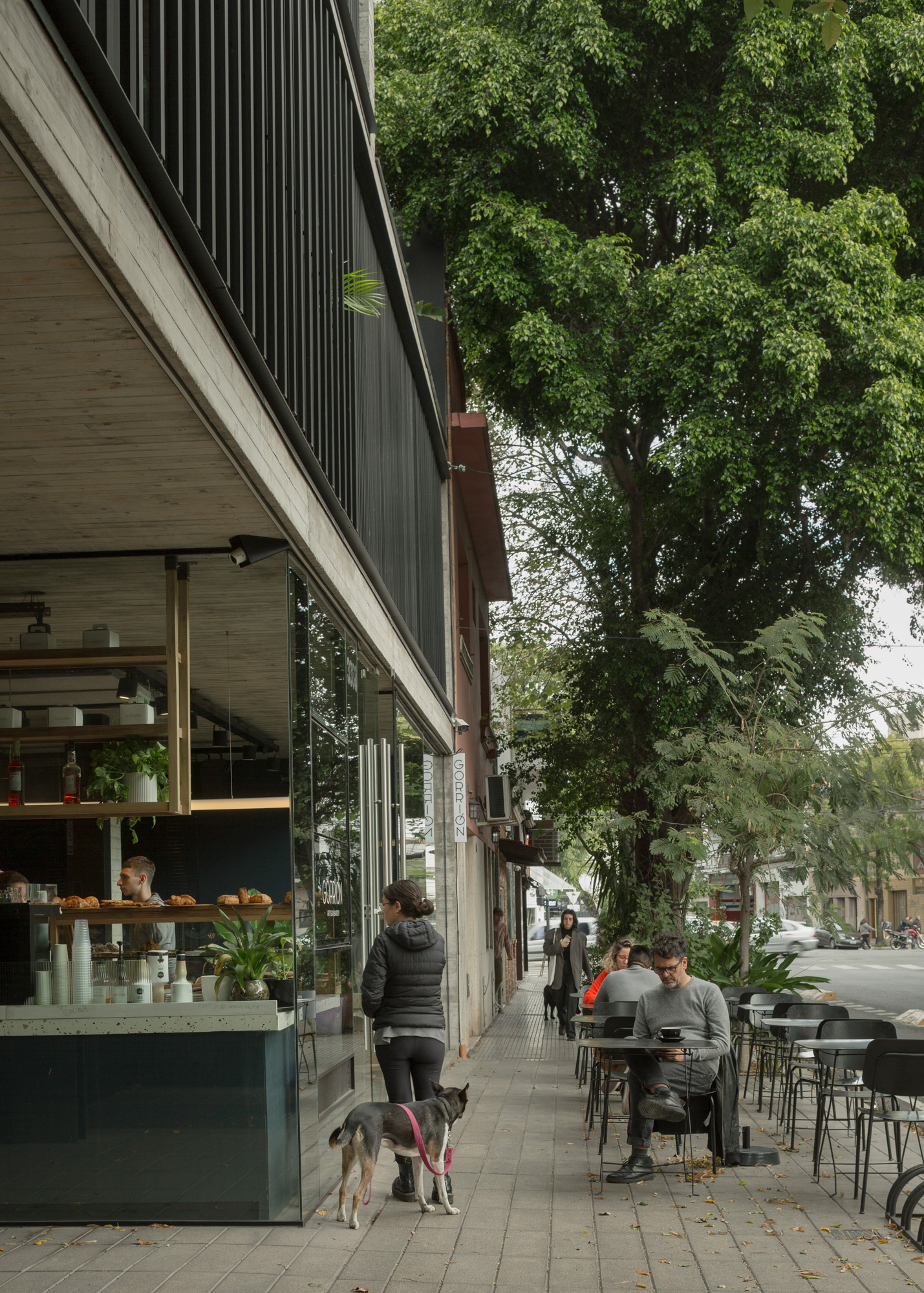 Gallery of Newbery Urban Homes / Dieguez Fridman - 11