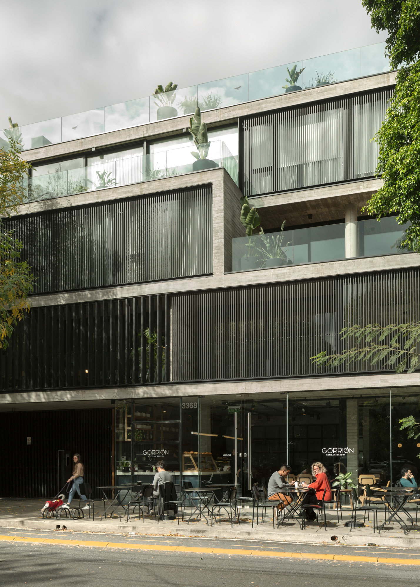 Gallery of Newbery Urban Homes / Dieguez Fridman - 10