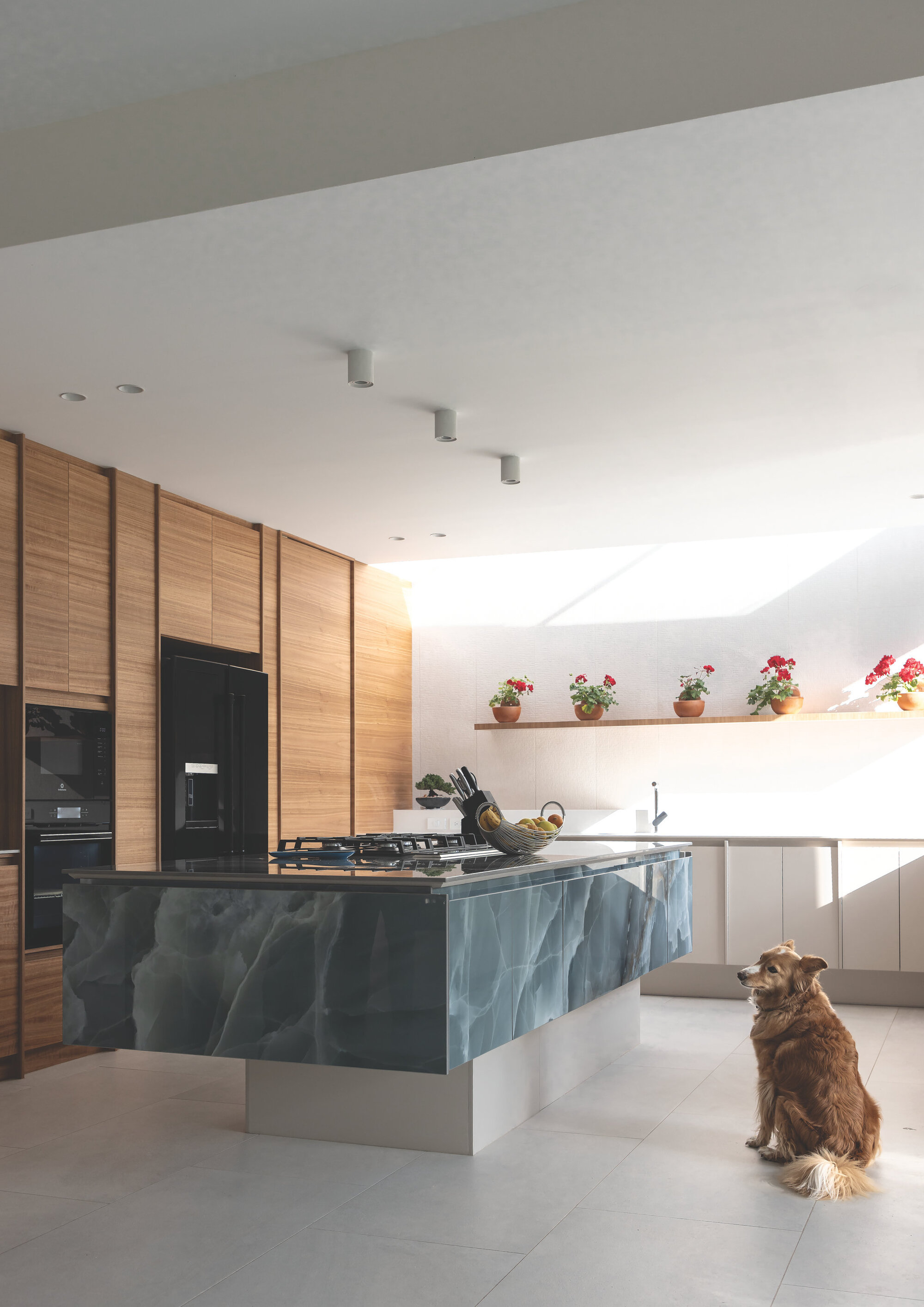 Galería de Dominga / nicolas&nicolas - 3