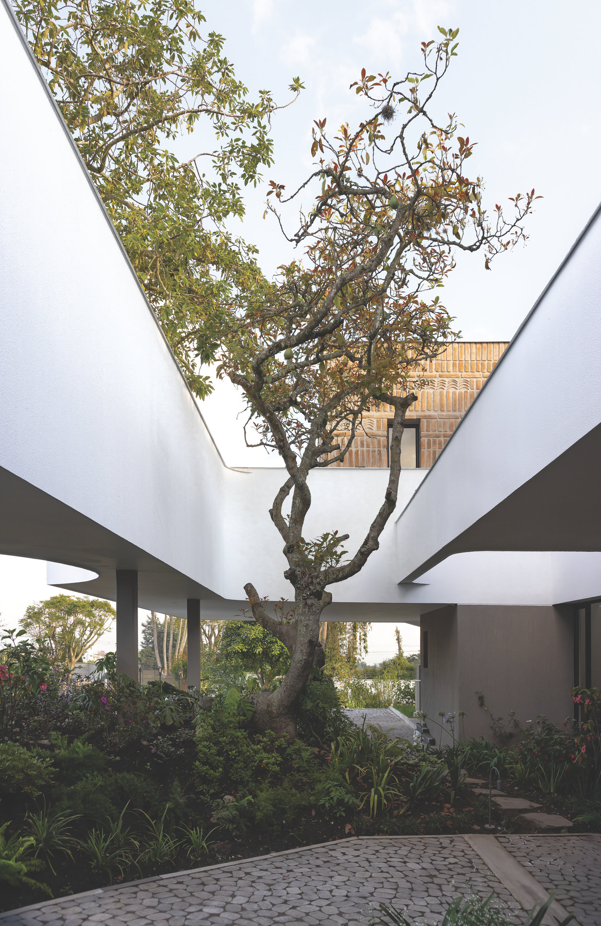 Galería de Dominga / nicolas&nicolas - 2