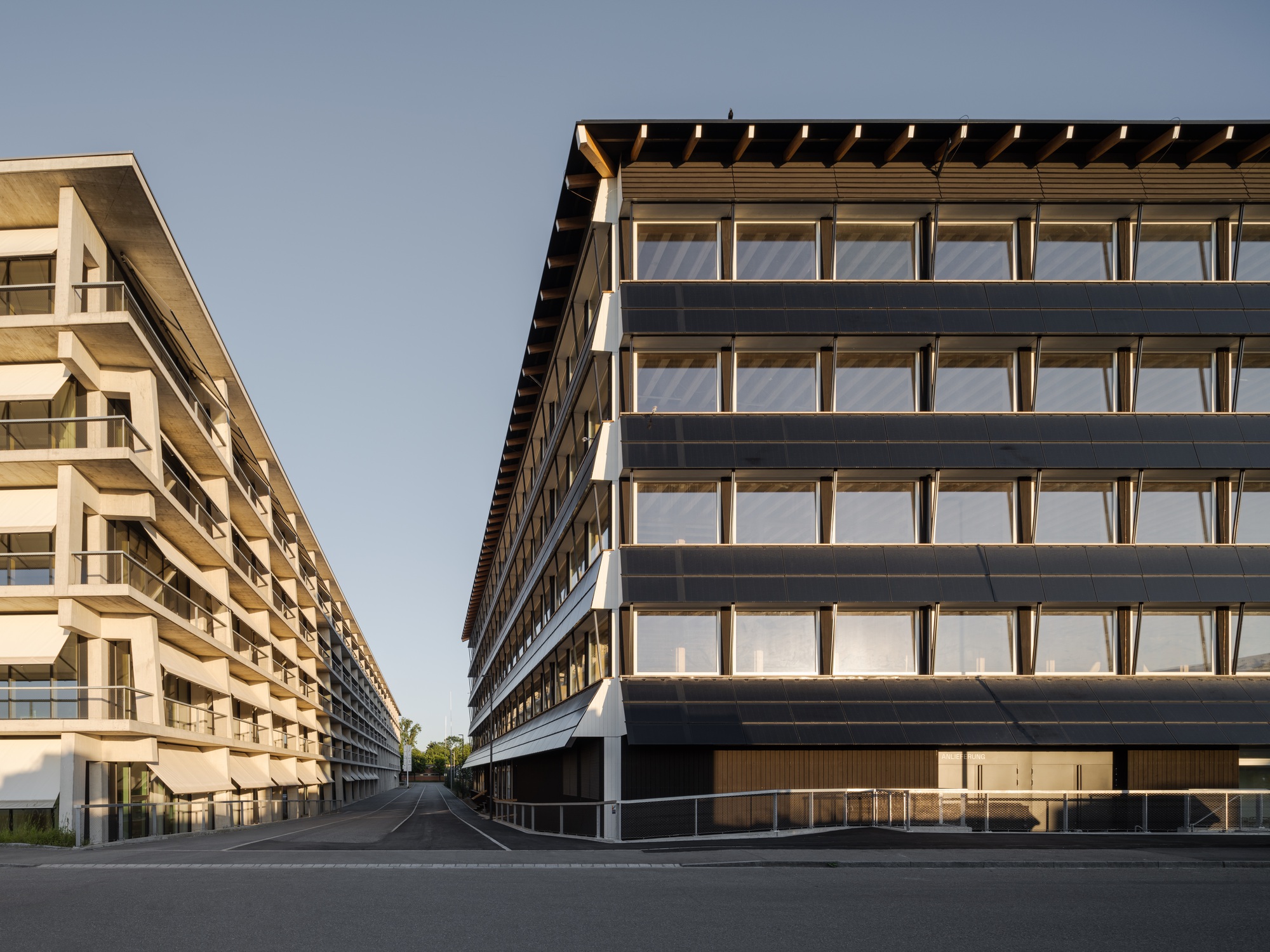 Gallery of Hortus Allschwil / Herzog & de Meuron - 2