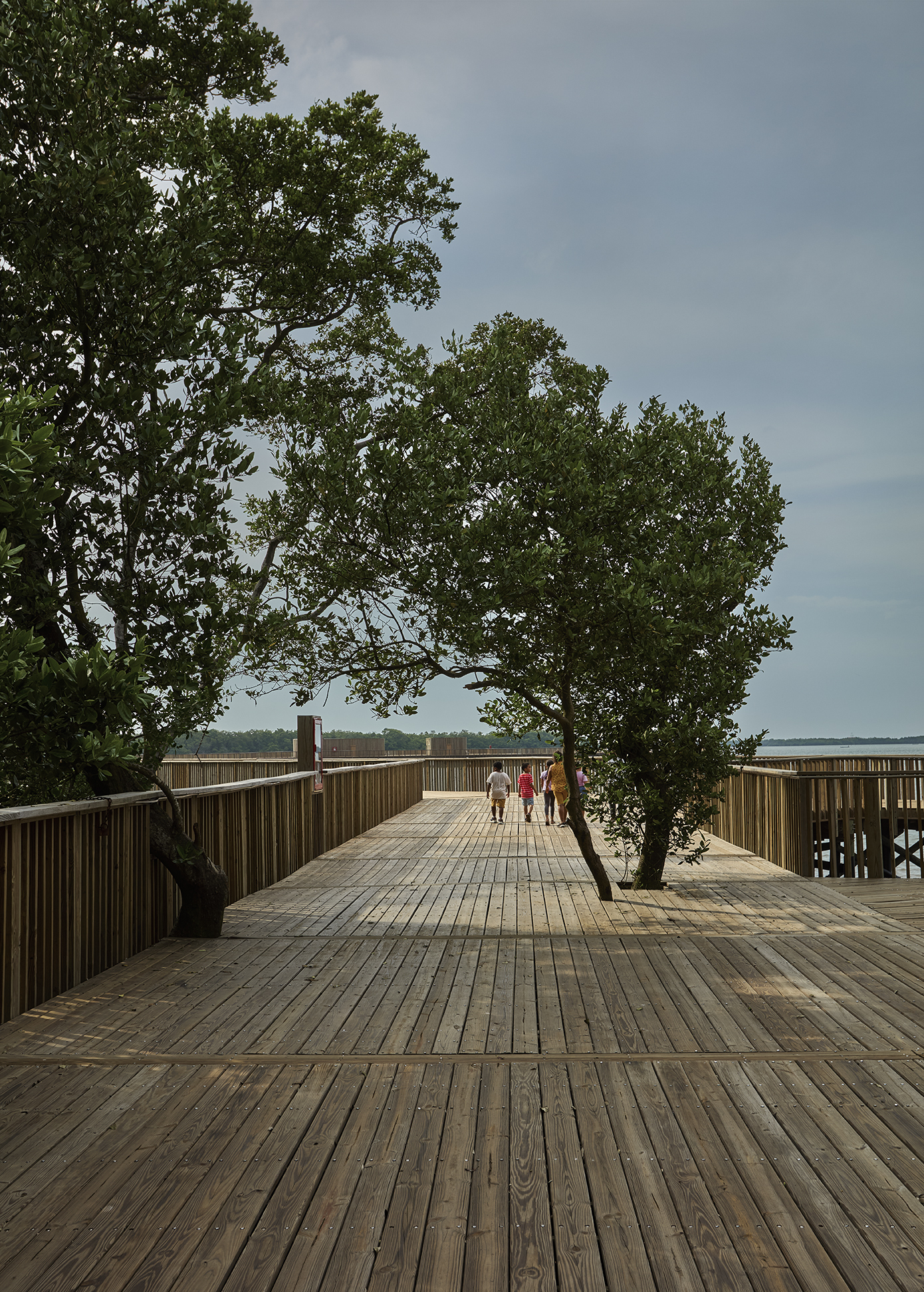 Gallery of Ecopark Ciénaga de Mallorquín / DEB + El Equipo Mazzanti - 3