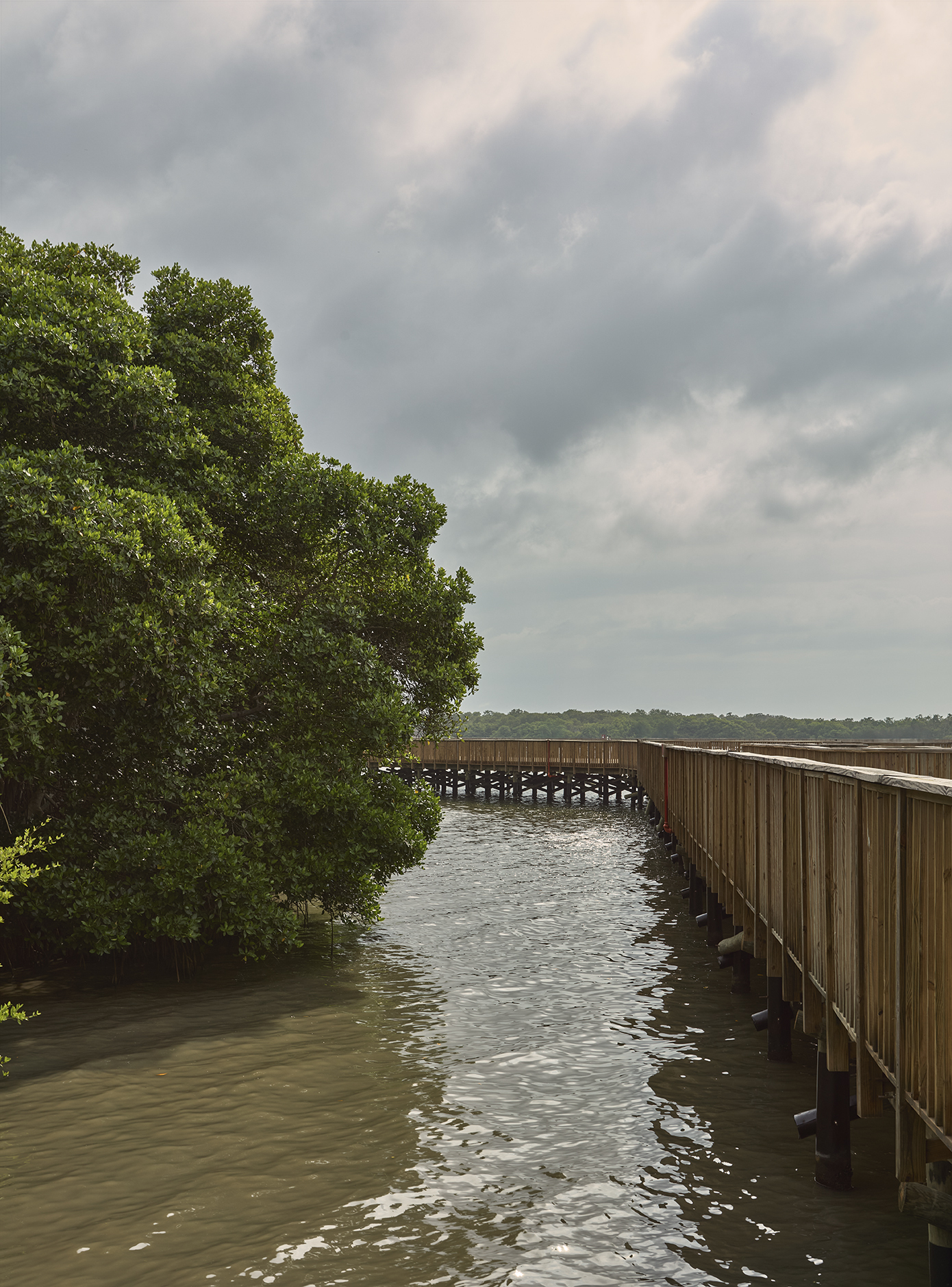 Galeria de Ecoparque Zona Úmida de Mallorquín / DEB + El Equipo ...