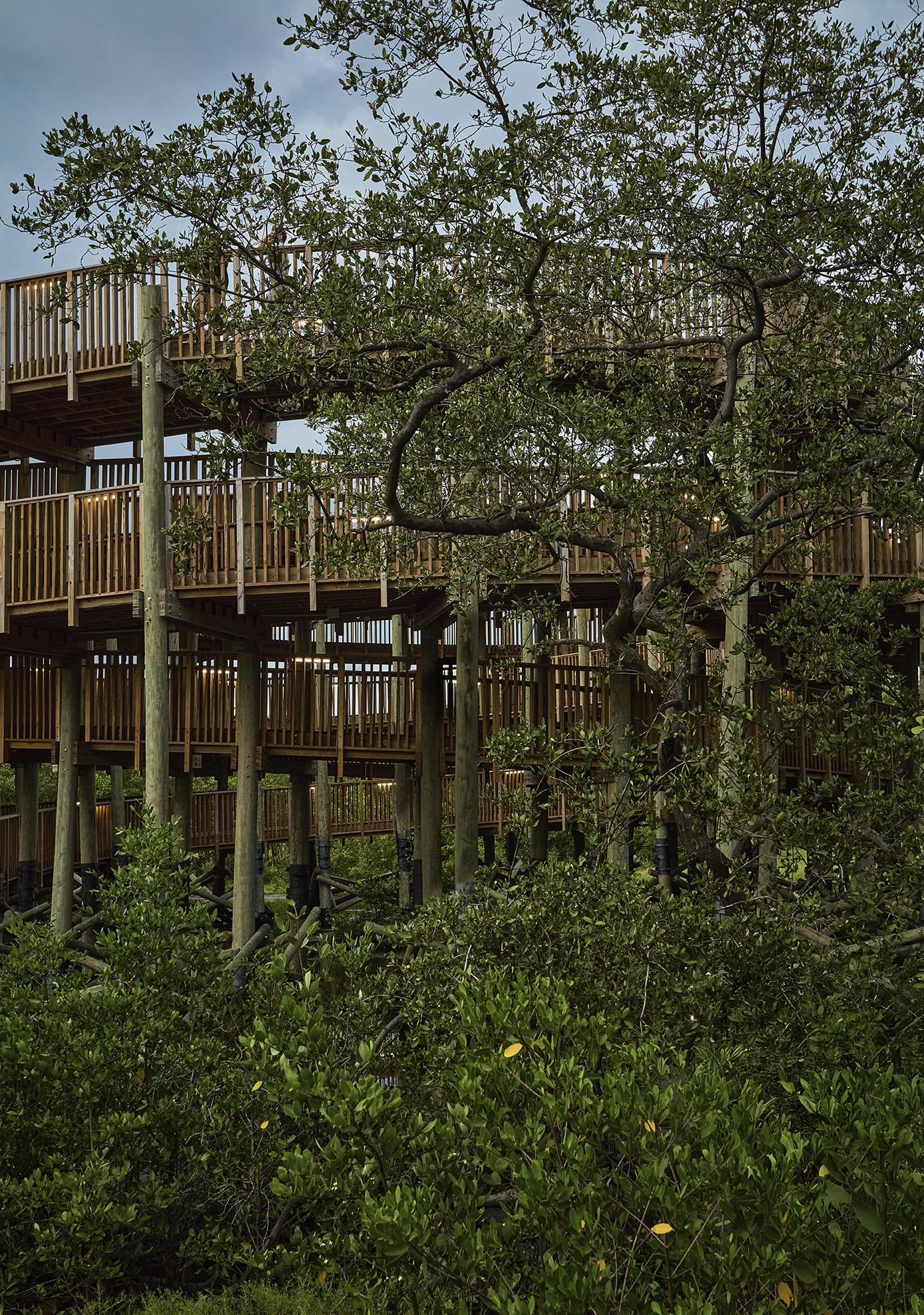 Gallery of Ecopark Ciénaga de Mallorquín / DEB + El Equipo Mazzanti - 5