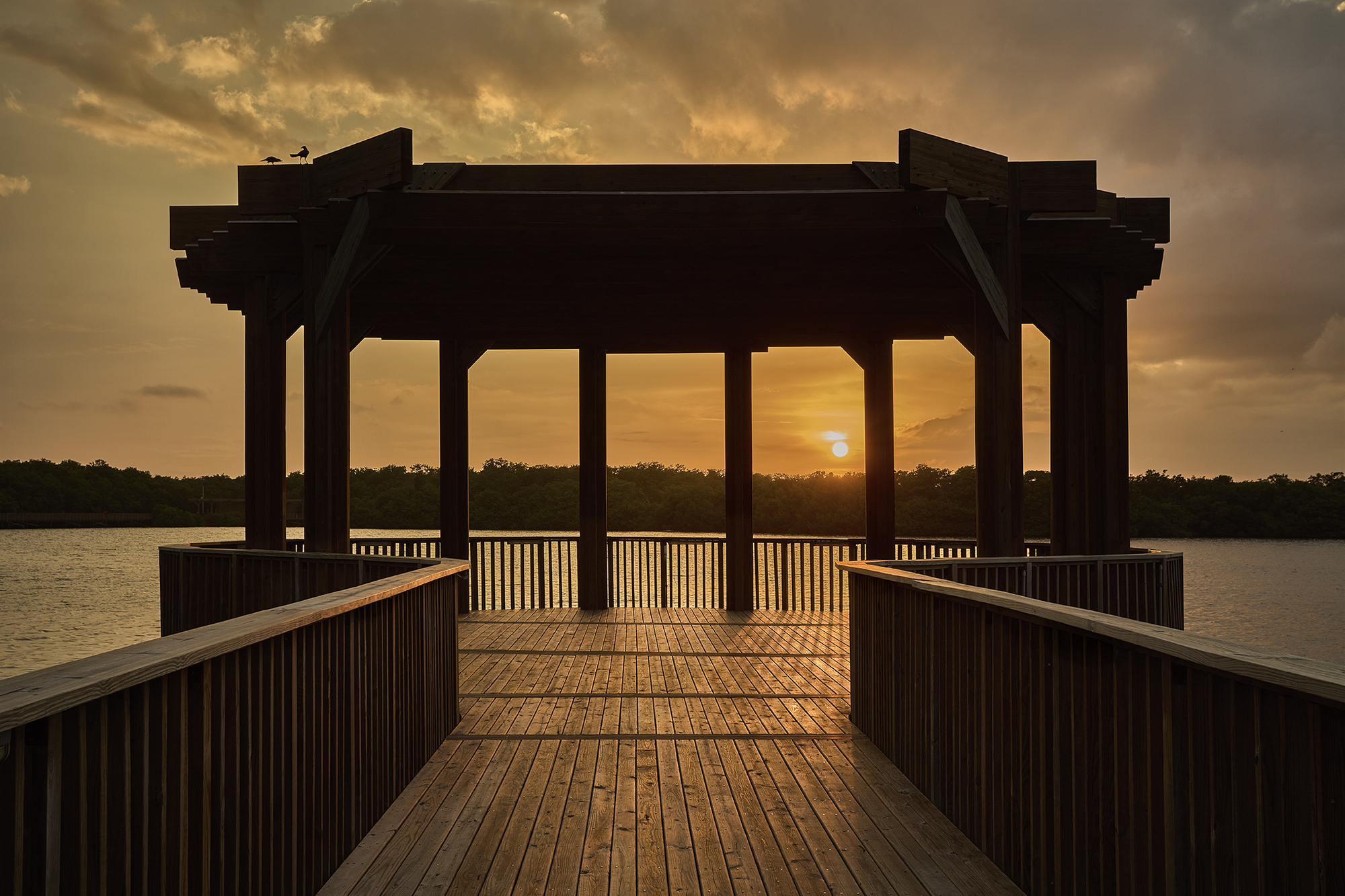 Galería de Ecoparque Ciénaga de Mallorquín / DEB + El Equipo Mazzanti - 26