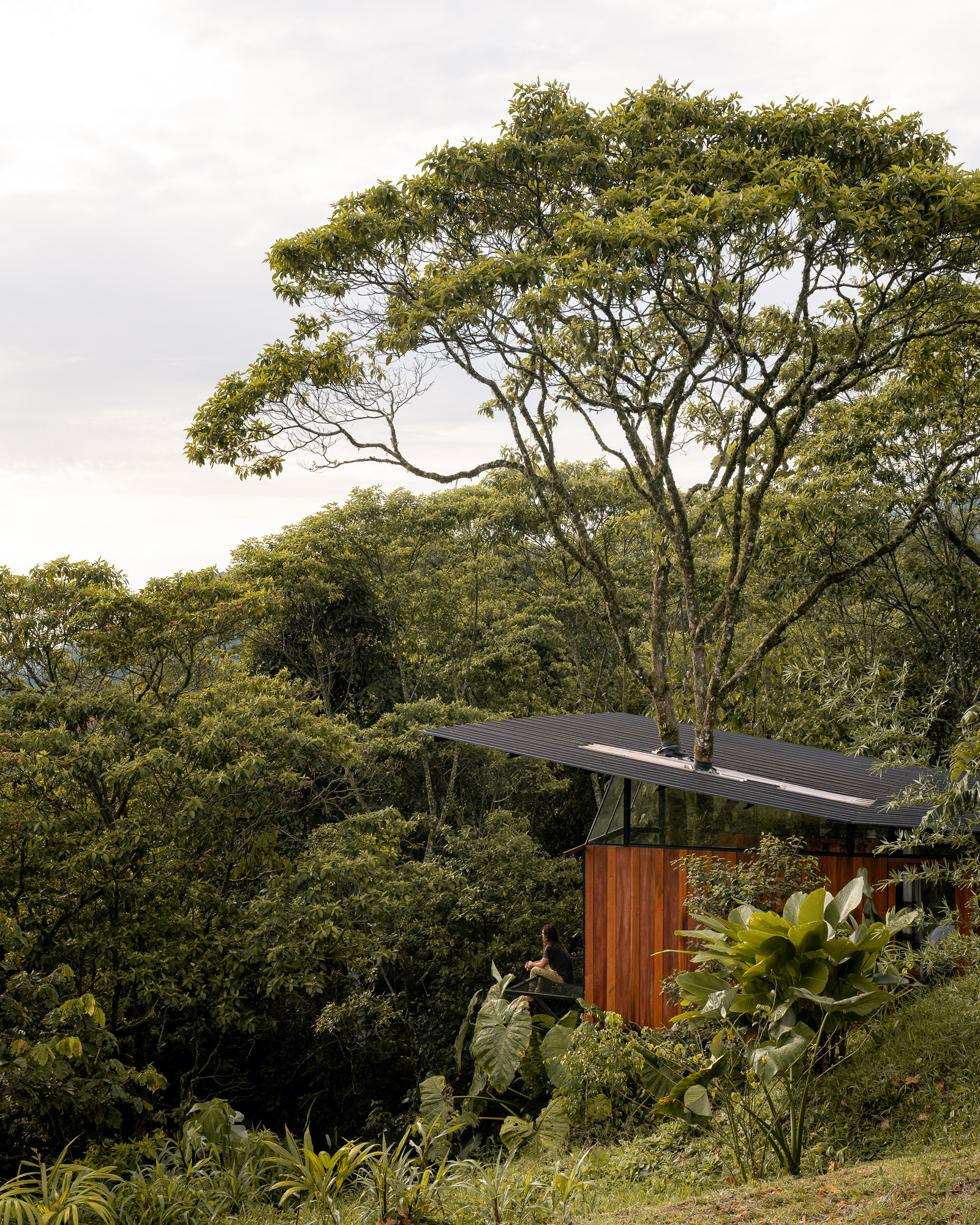 Gallery of A Lodge in Pigüe / Mestizo Estudio Arquitectura - 4