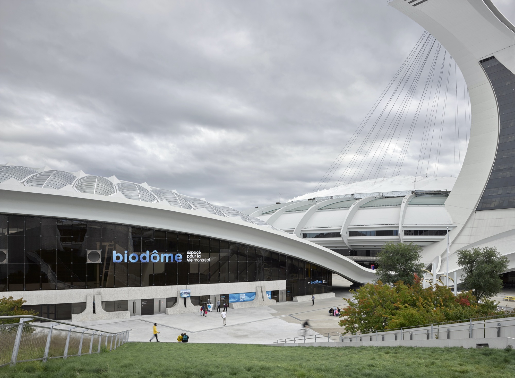 Gallery of The Montreal Biodome: From Olympic Velodrome to a Space for ...