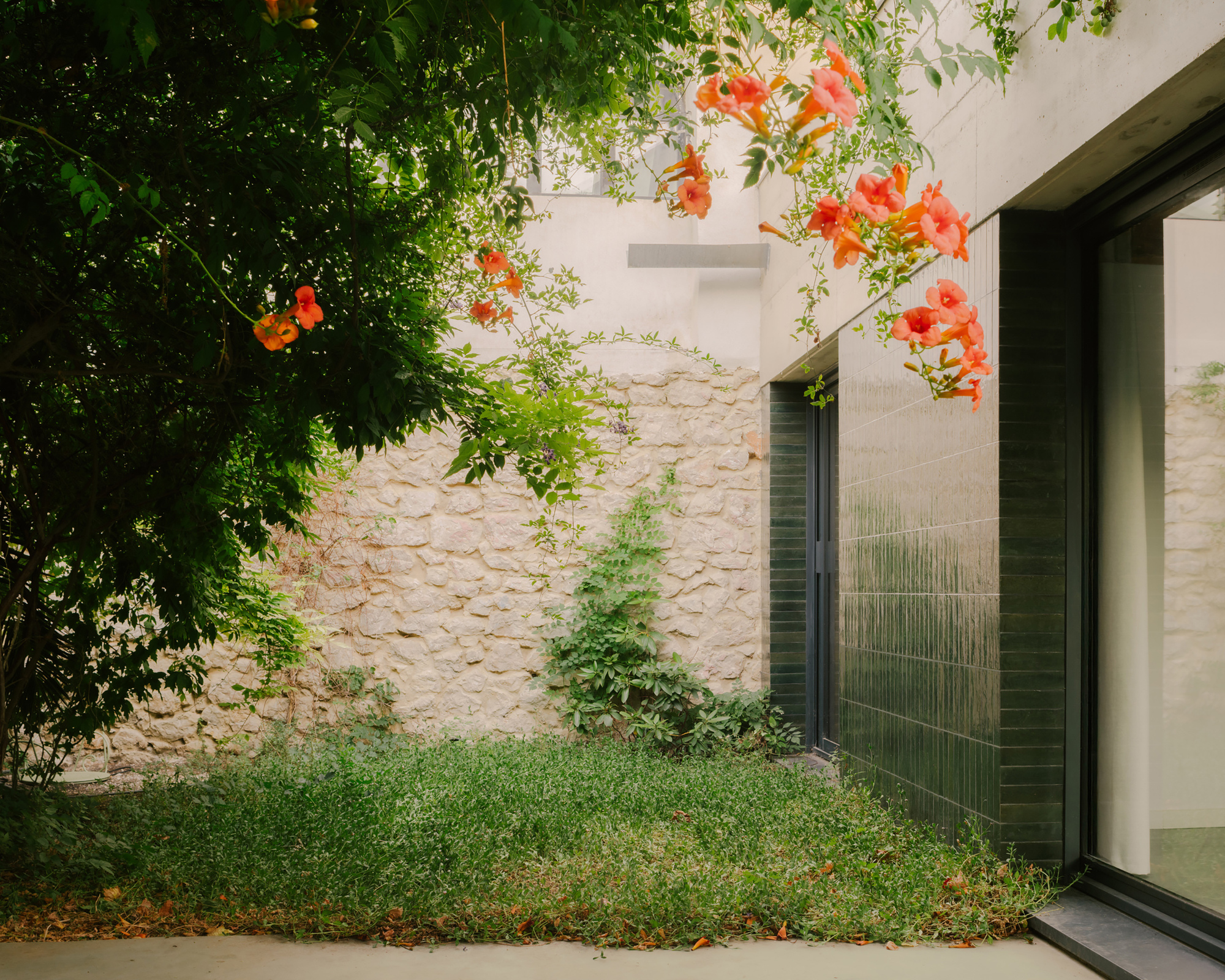Gallery of Jericho House / olivia fauvelle architecture - 15
